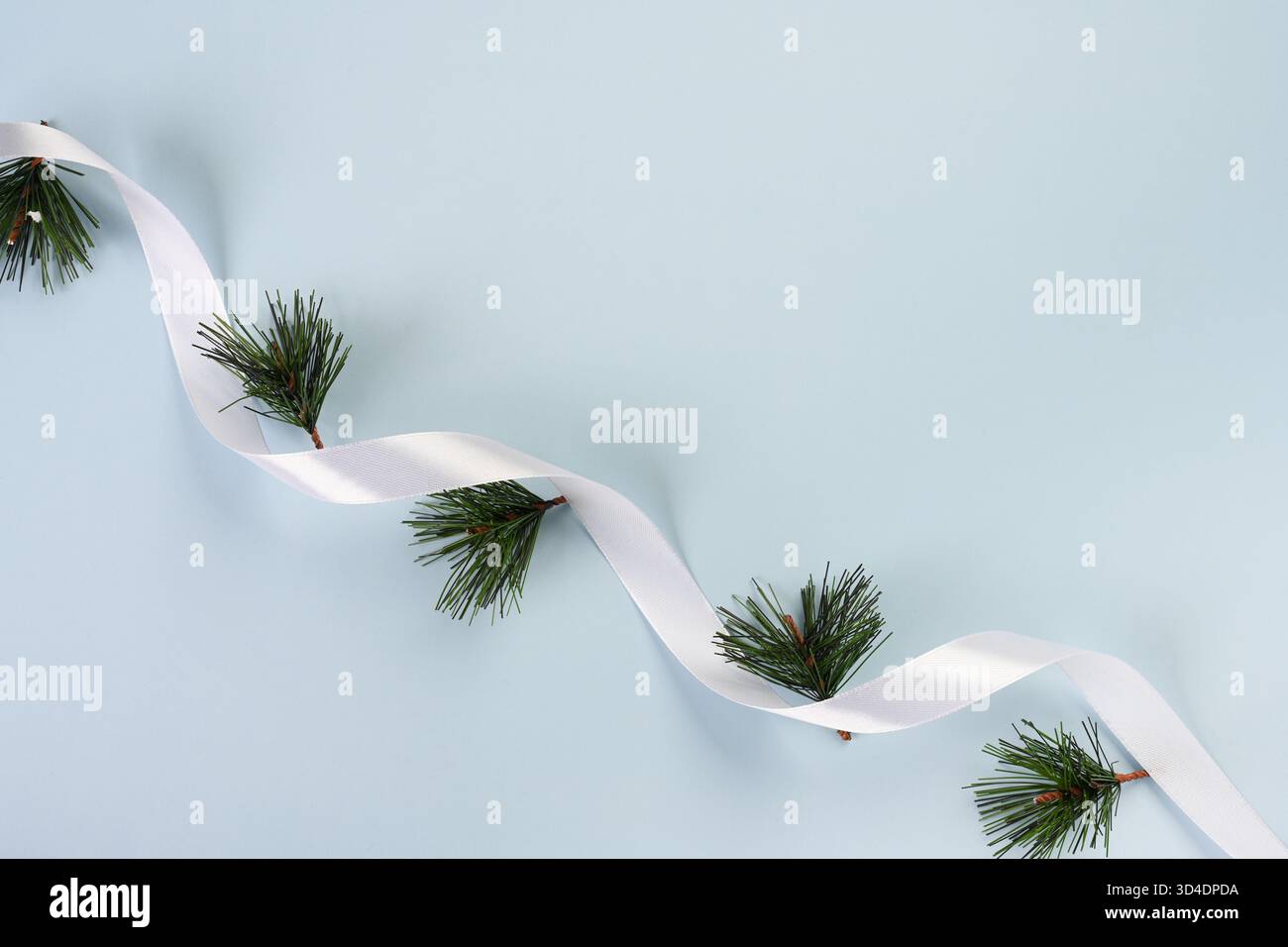 Decorative white ribbon with small pine branches on pastel blue ...