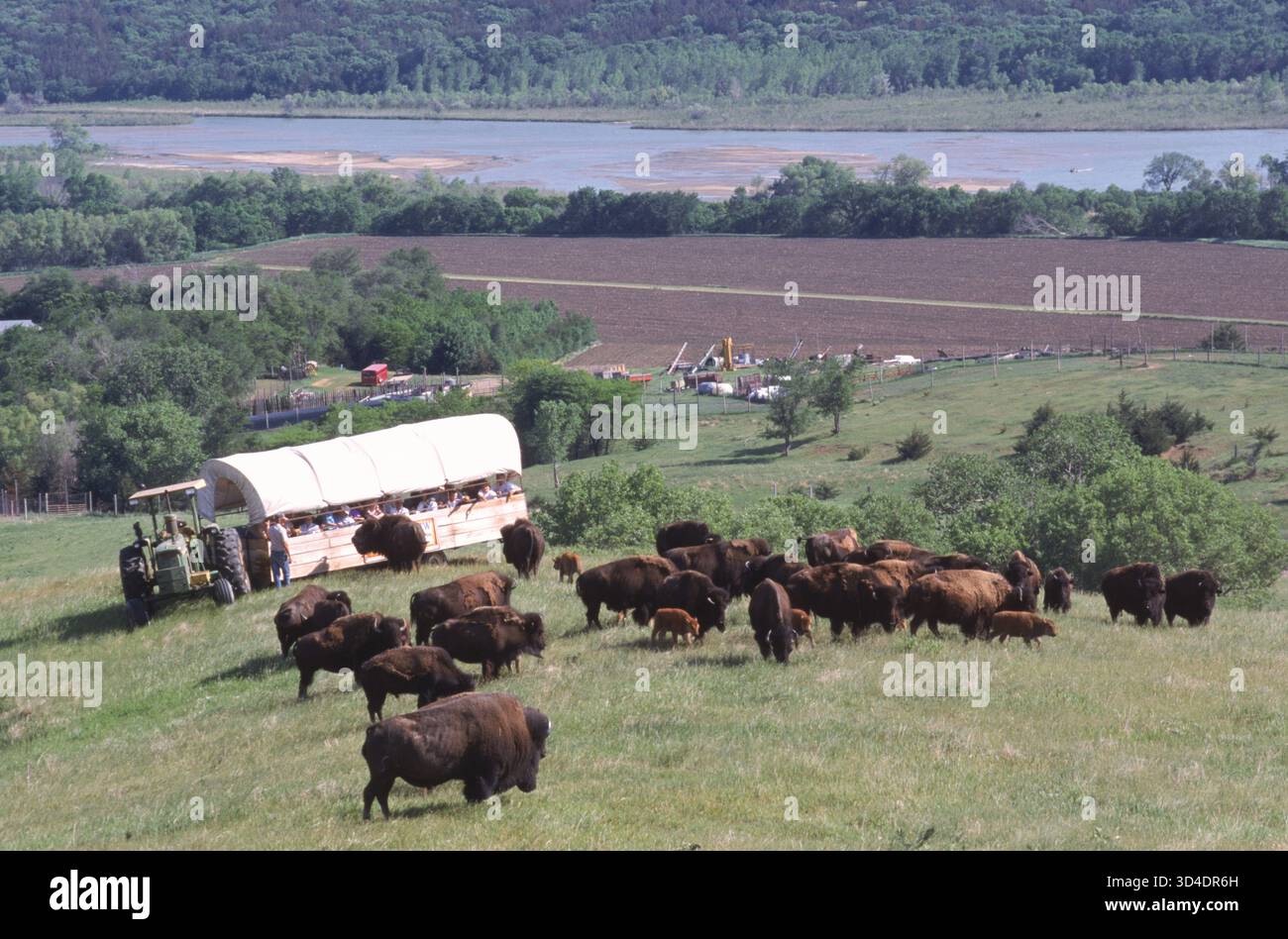 Kreycik Riverview Elk and Bison Farm, on the banks of the Niobrara ...