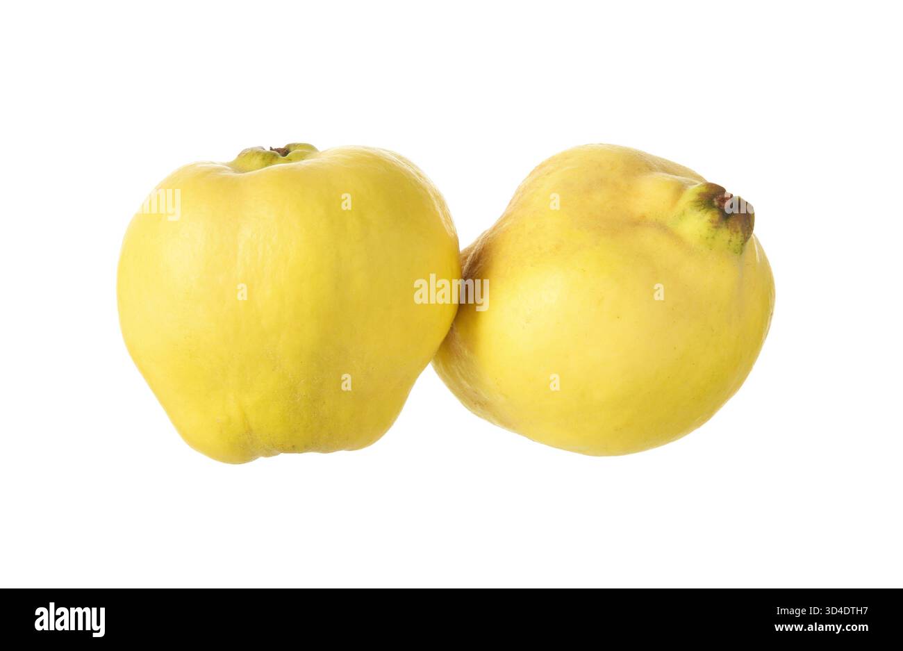 Fresh ripe quince fruits isolated on white Stock Photo - Alamy