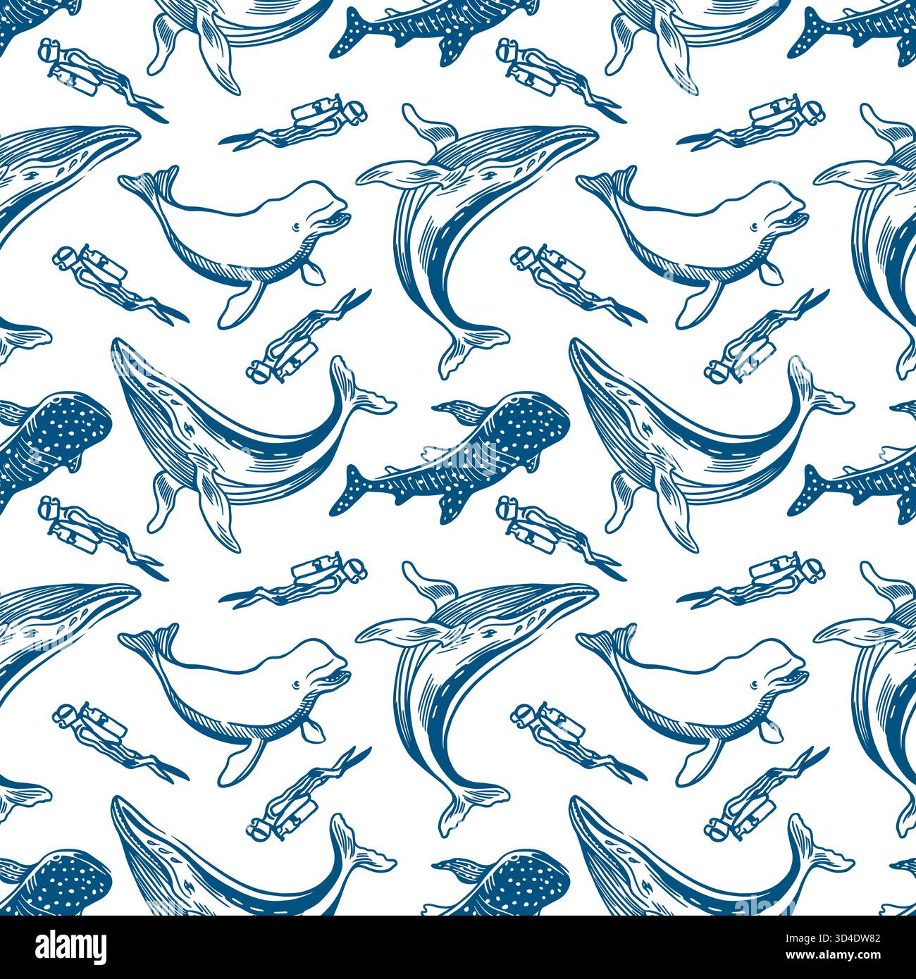 Whale shark divers Stock Vector Images - Alamy