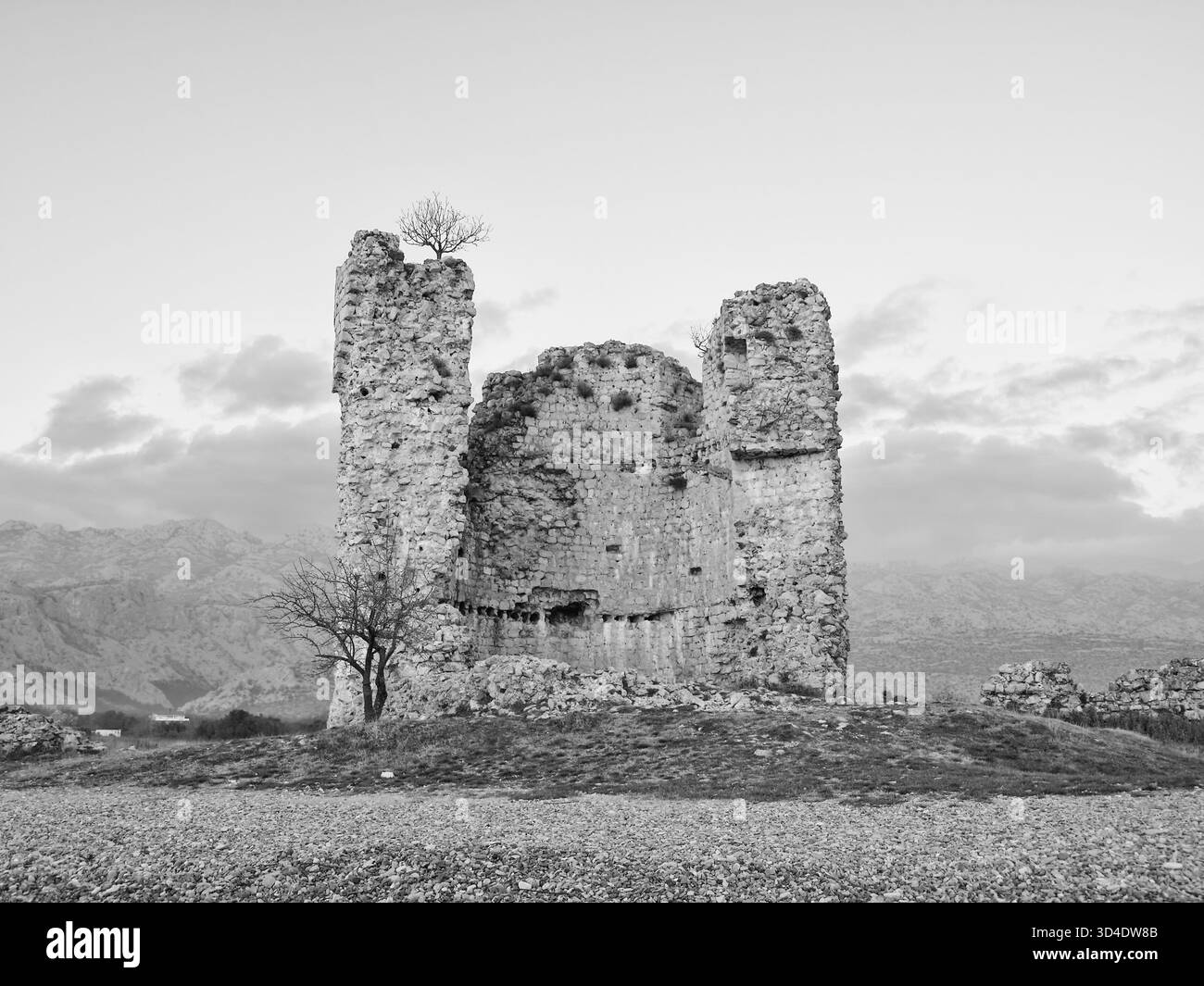 OLYMPUS DIGITAL CAMERA Stock Photo - Alamy