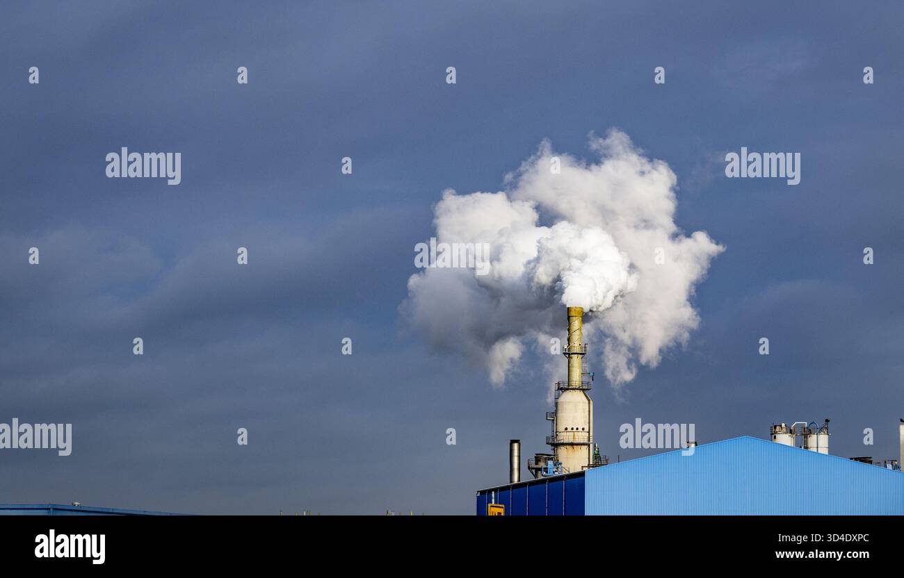PERNIS - Shell Pernis is a petrochemical complex owned by Shell on the ...