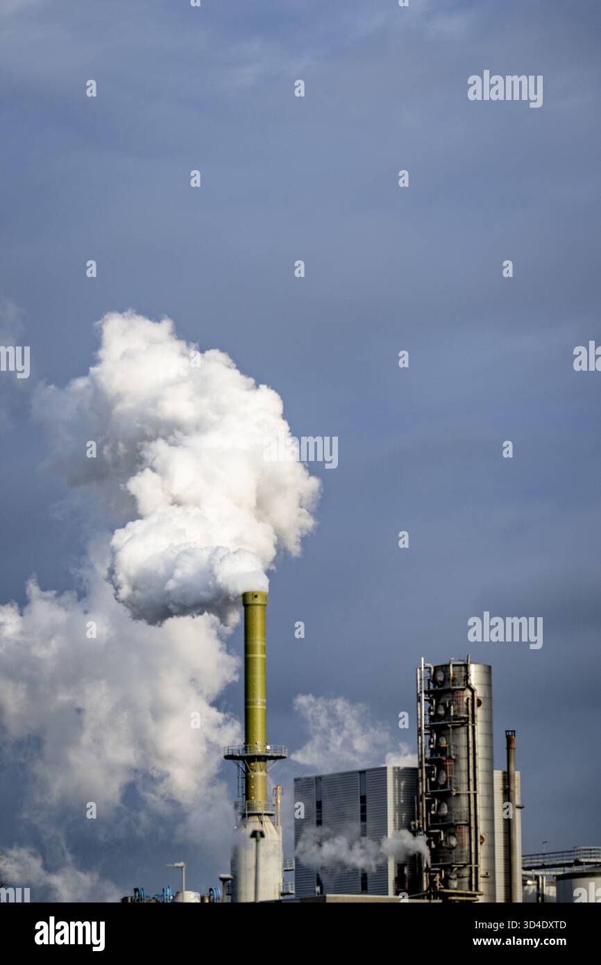 PERNIS - Shell Pernis is a petrochemical complex owned by Shell on the ...