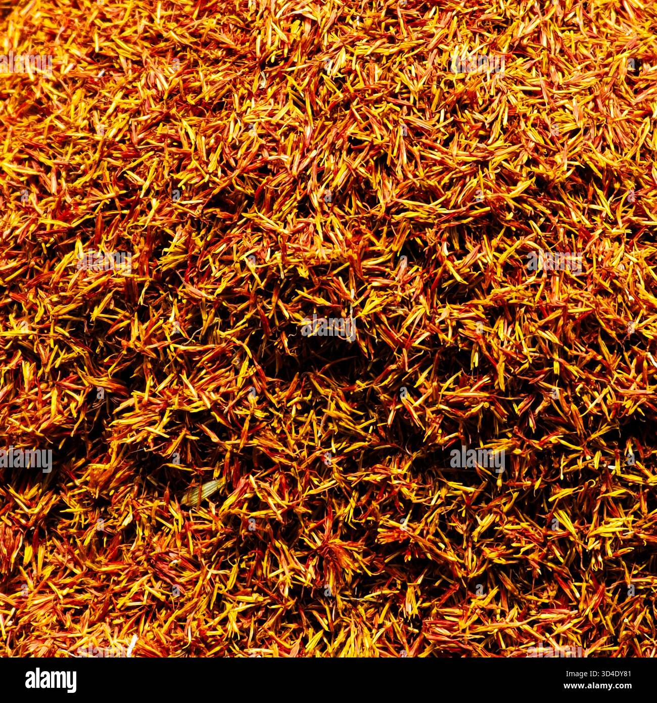 Istanbul, Türkiye - Nov 8 2025: Full frame, extreme close-up view of ...