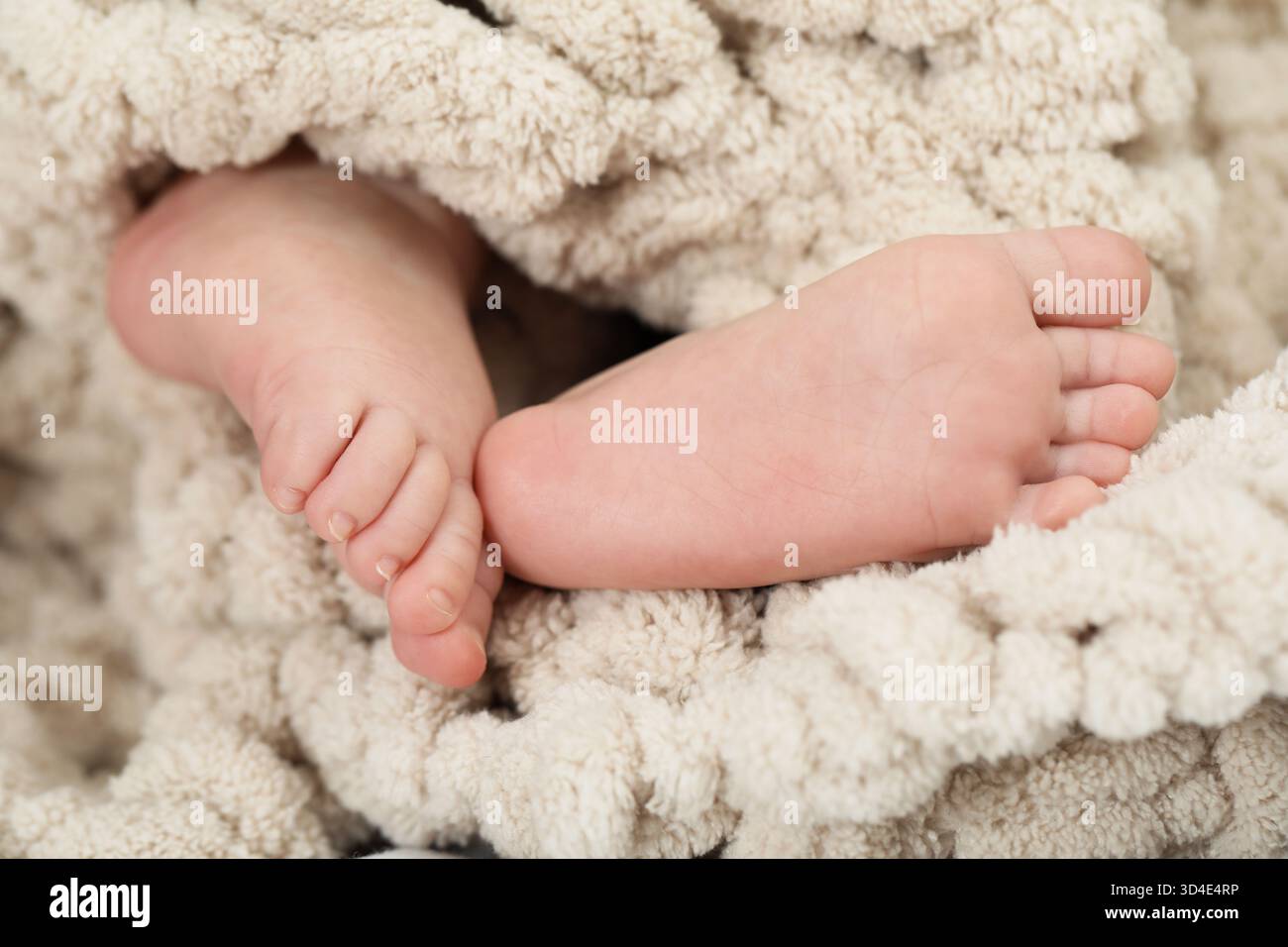 Newborn baby wrapped in soft blanket, closeup Stock Photo - Alamy