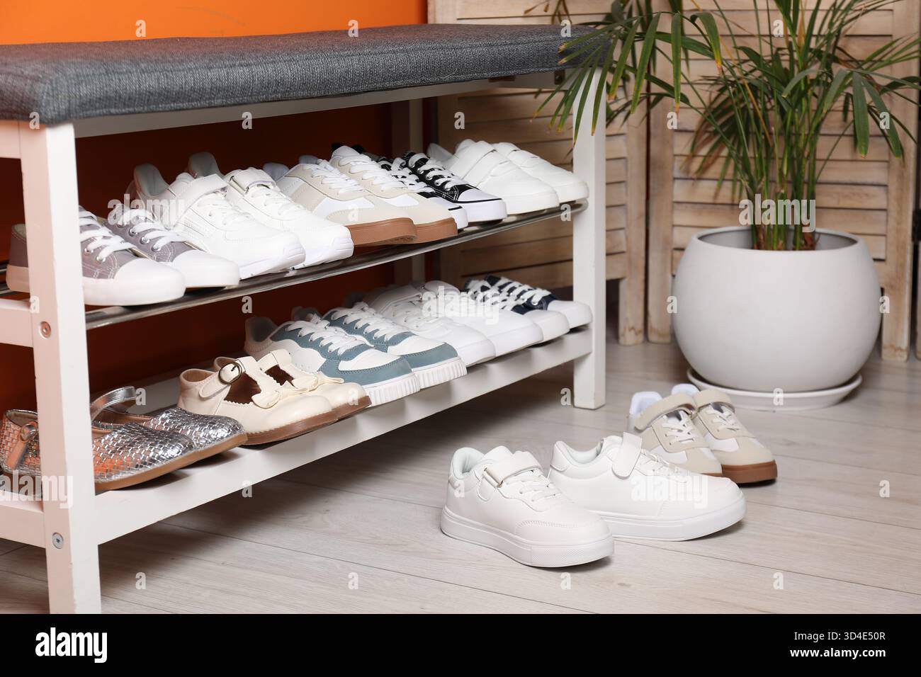 Different kid's shoes, storage bench and houseplant on wooden floor ...