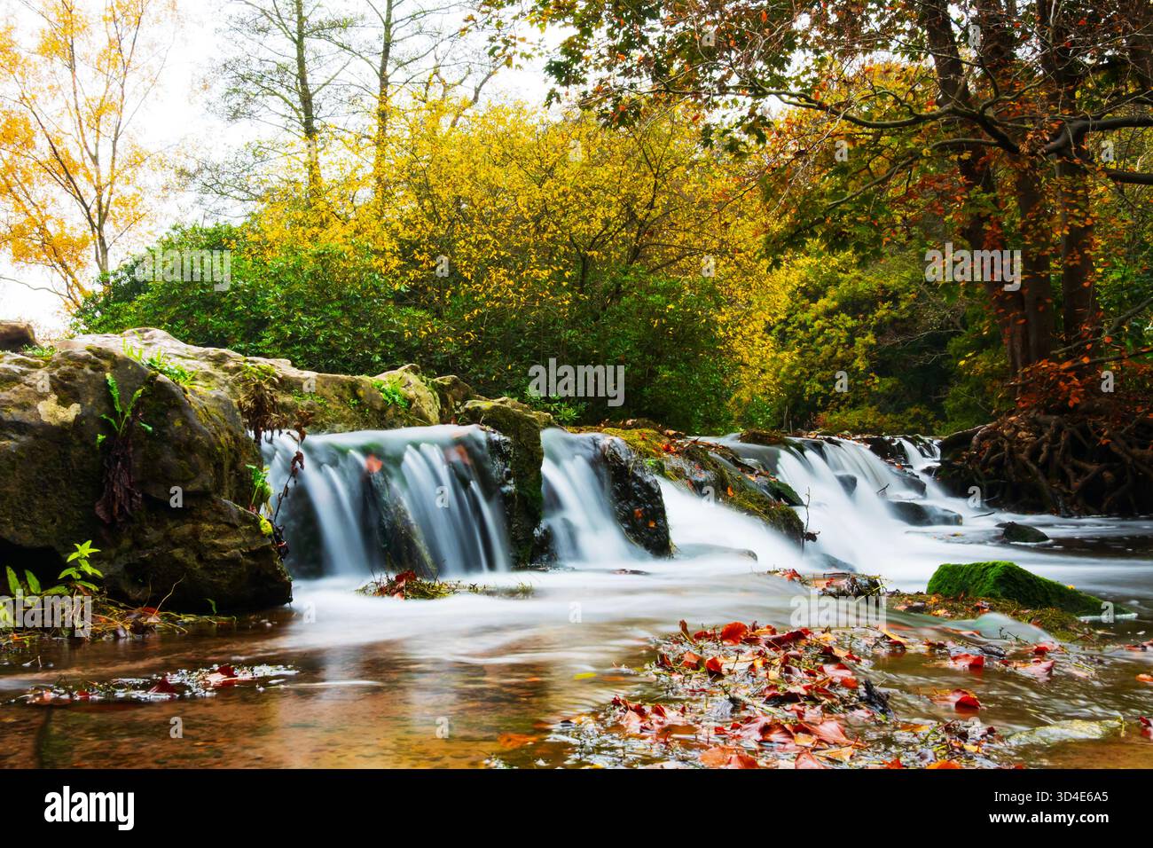 Long exposure of water over a low waterfall in autumn, with Stock Photo ...