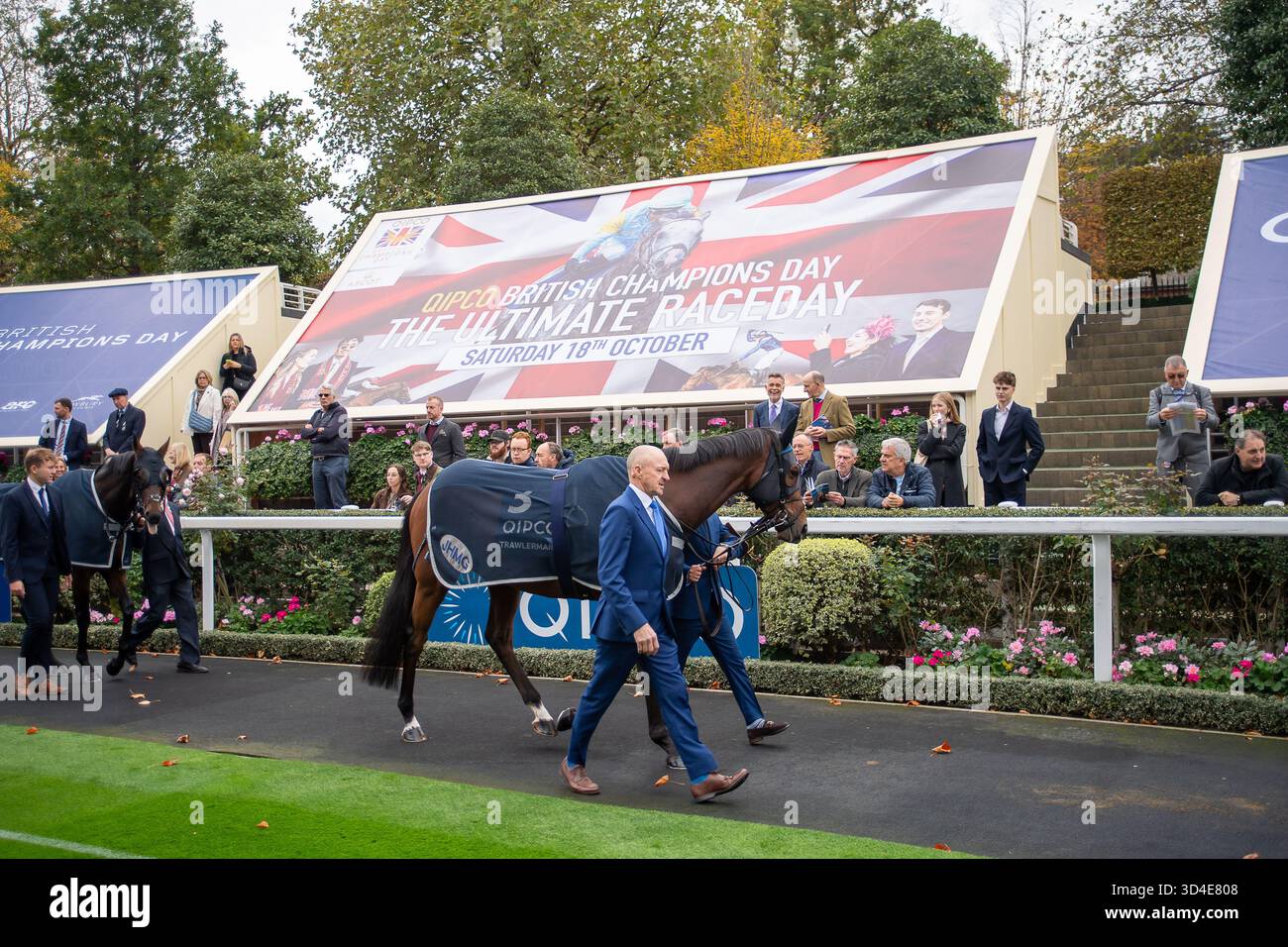 Trawlerman horse 2025 hi-res stock photography and images - Alamy