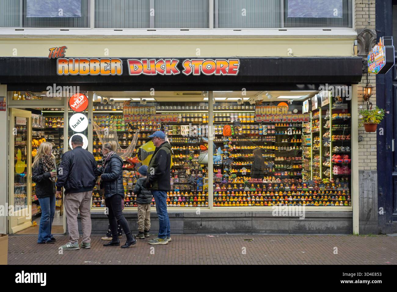 Rubber Duck Store, Gummienten, Damstraat, Altstadt, Innenstadt ...