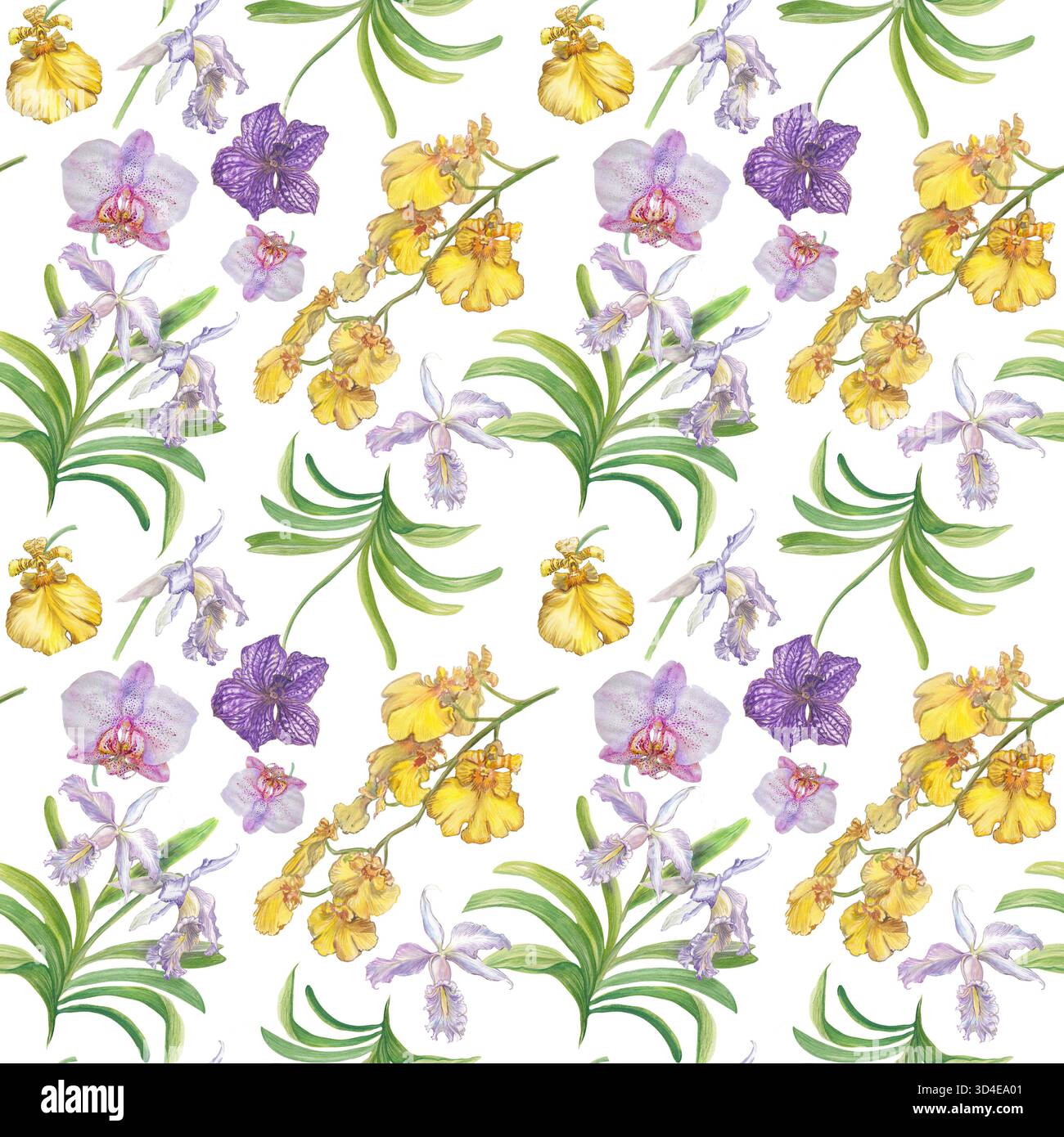 Vintage exotic botanical prints Cut Out Stock Images & Pictures - Alamy