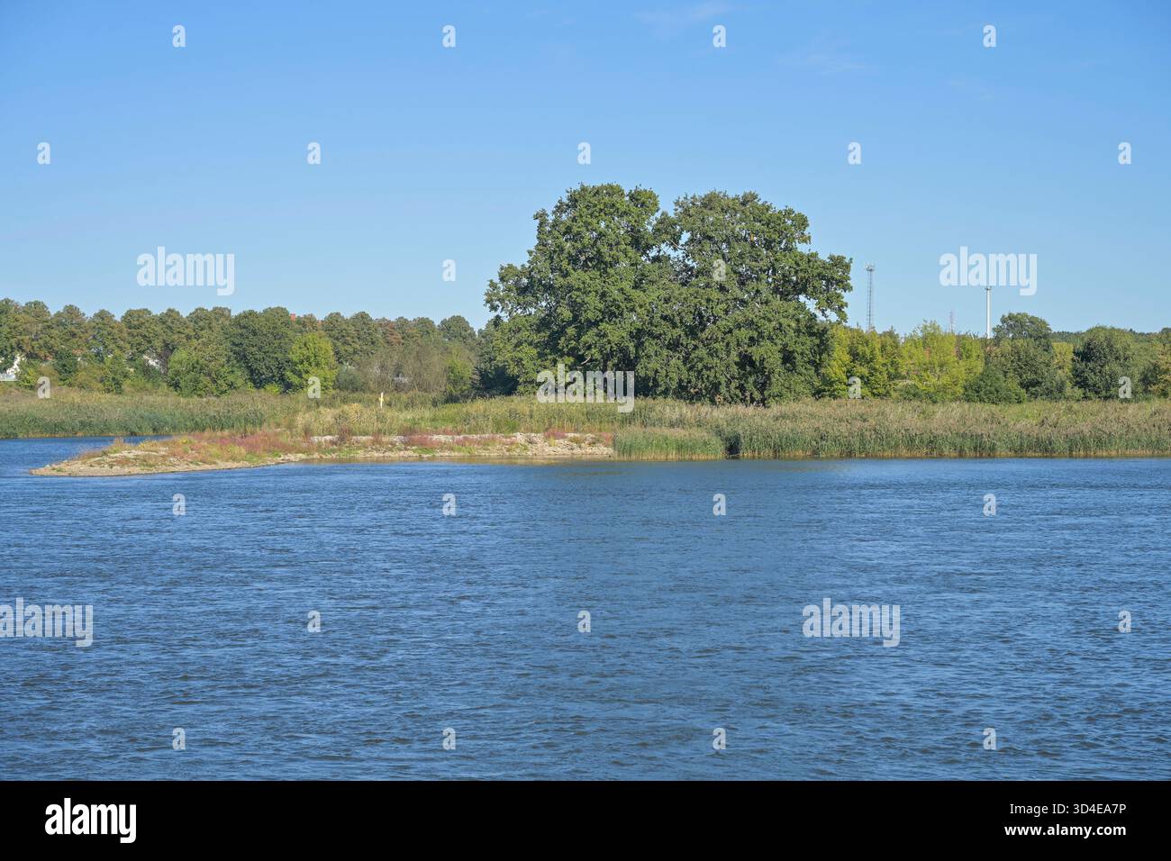 Fluß Oder südlich von Slubice, Polen *** River Oder south of Slubice ...
