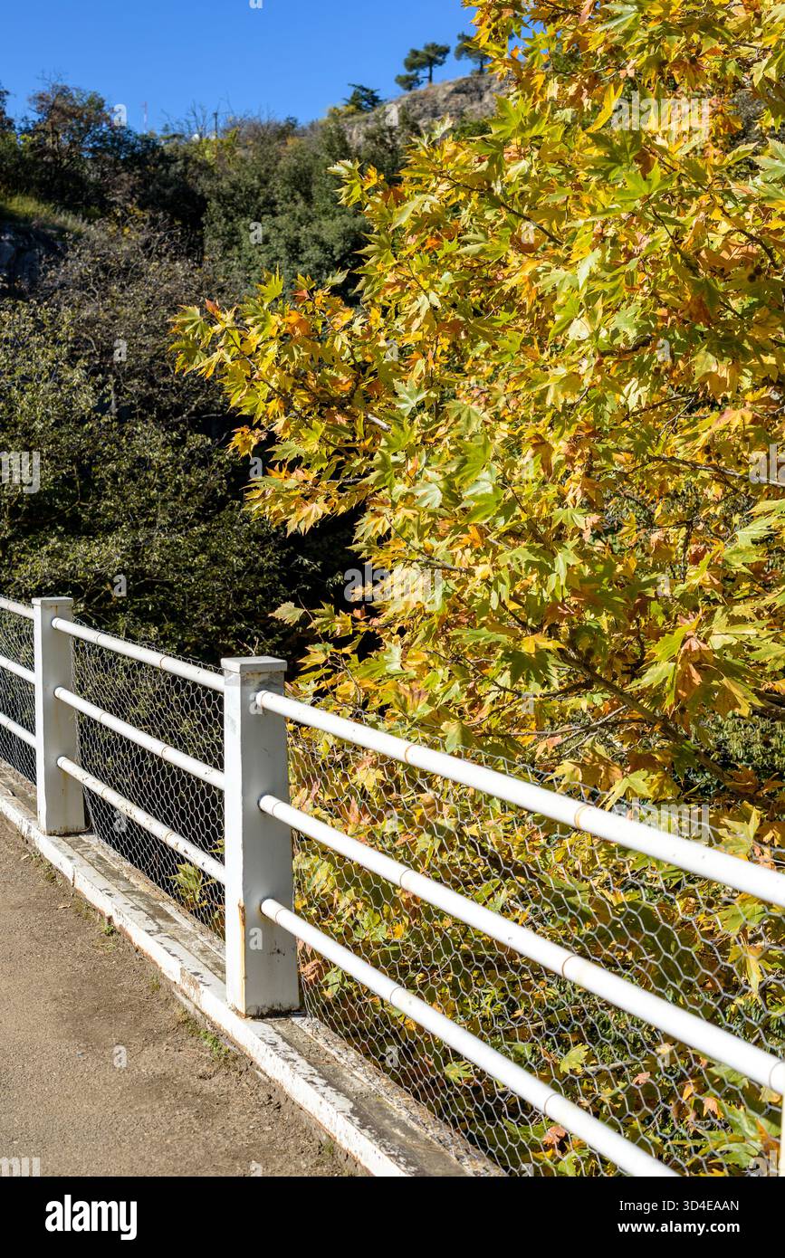 Bridge in the National Botanical Garden in Sololaki hills in Tbilisi ...