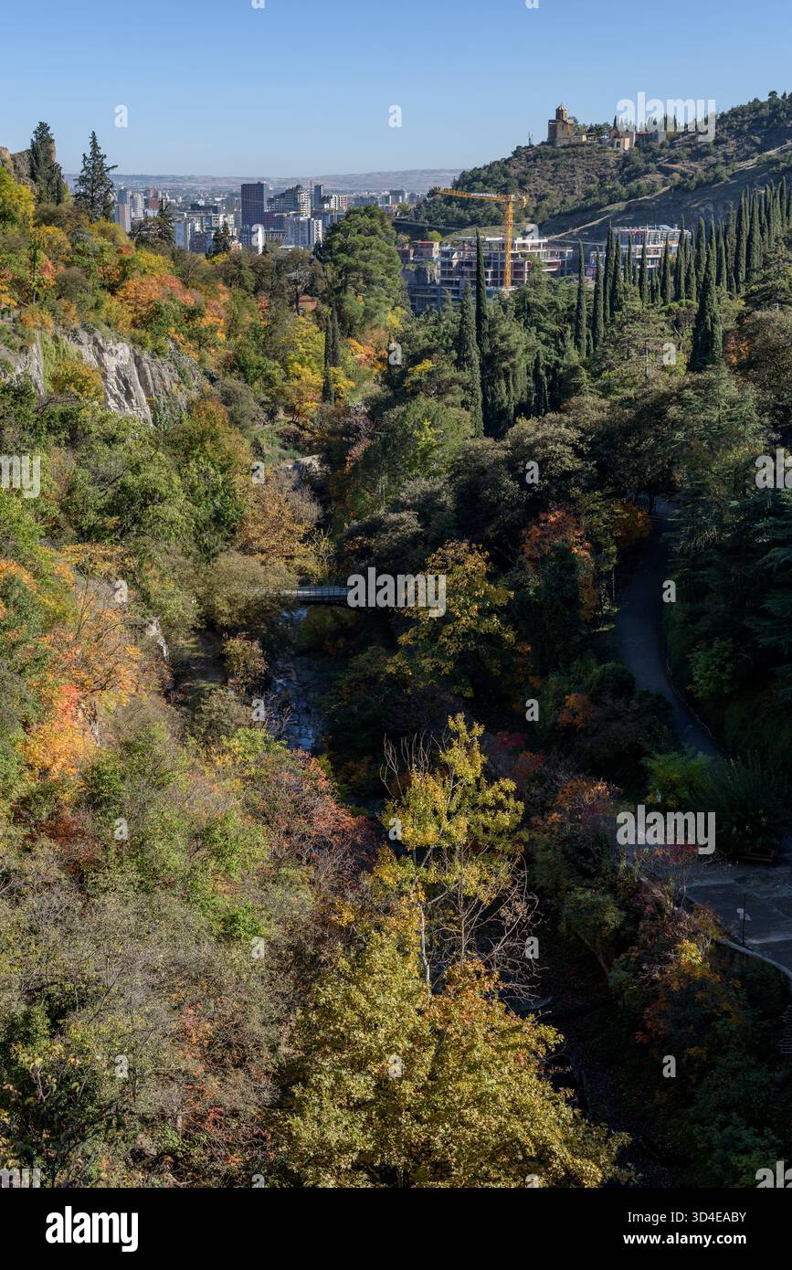 Autumn foliage in the National Botanical Garden in Sololaki hills in ...