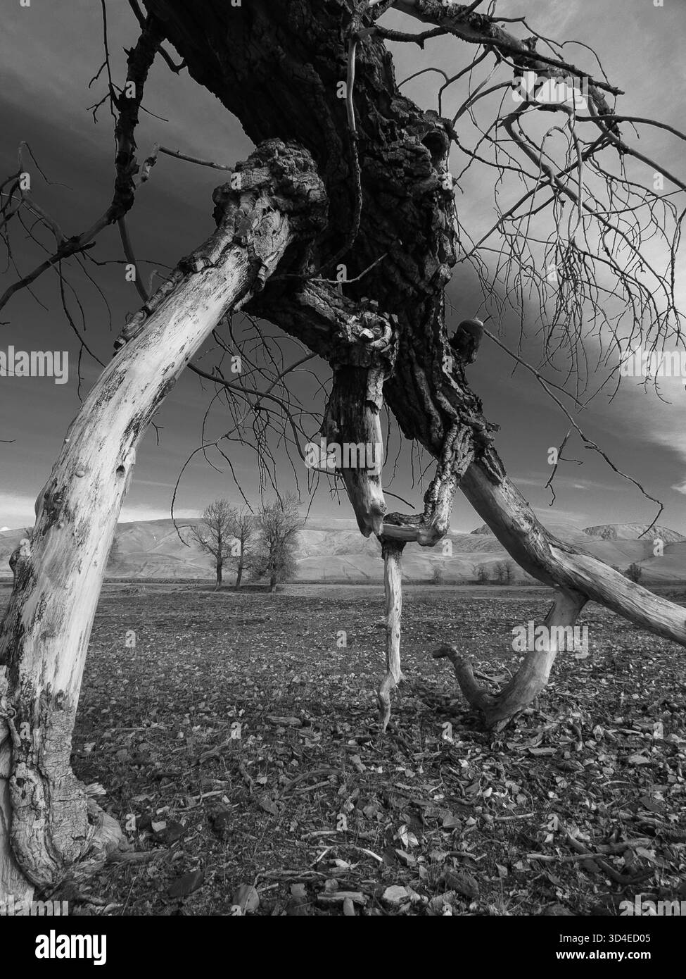 Reveals landscape Black and White Stock Photos & Images - Alamy