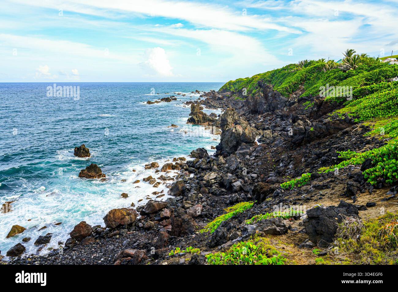 Dramatic black volcanic rock formations on the St. Kitts coast in the ...
