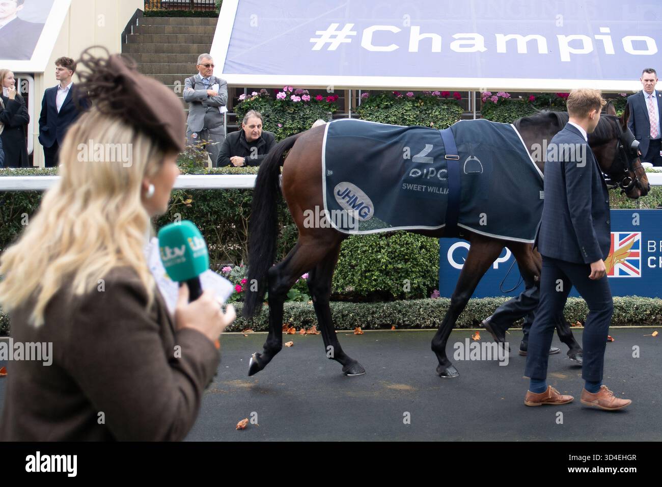 Sweet william horse racing hi-res stock photography and images - Alamy