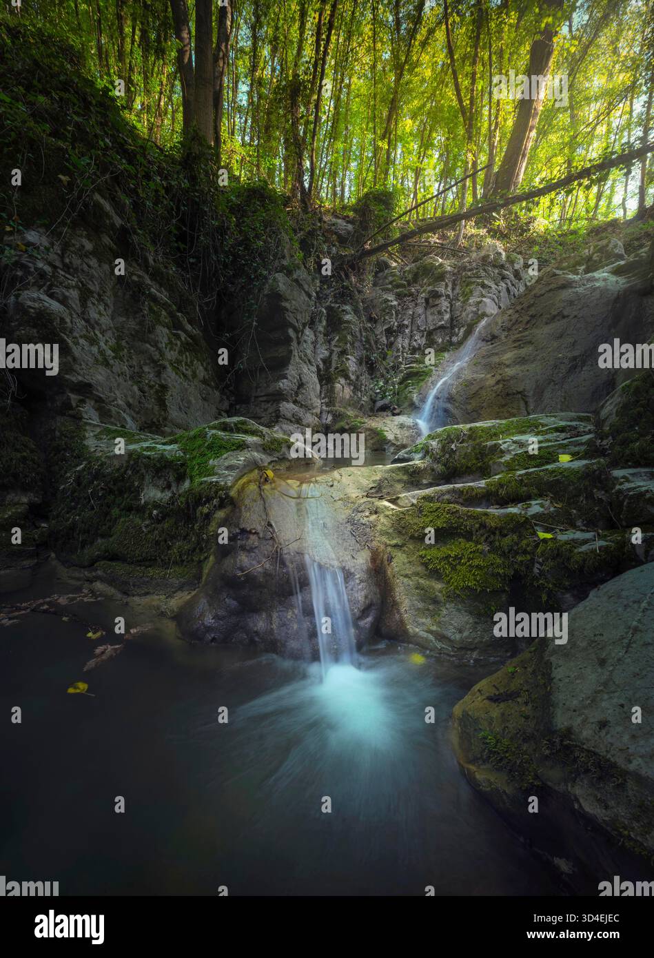 Stream waterfall inside a mediterranean forest and small pool. Chianni ...