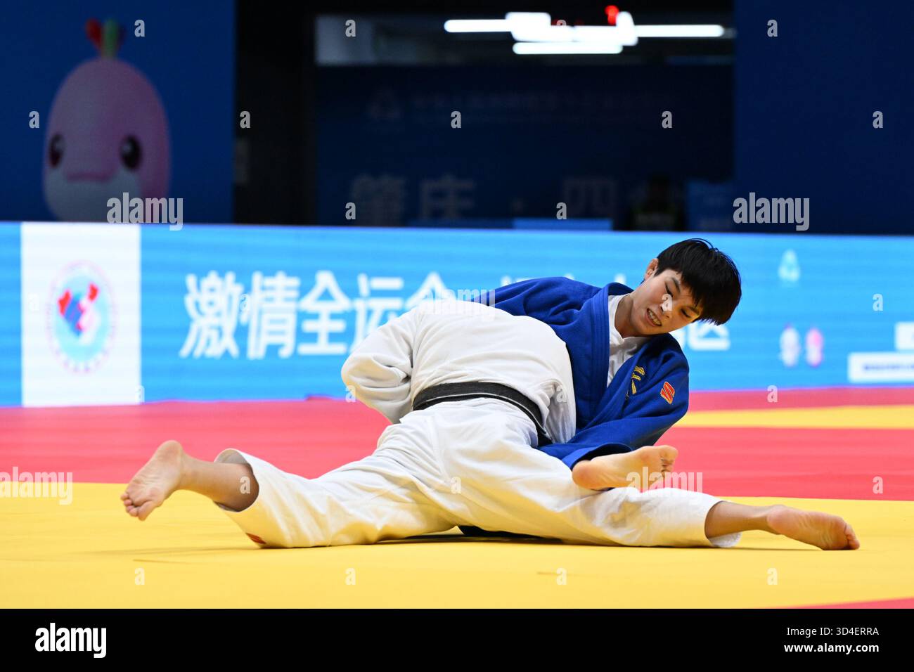 (251110) -- ZHAOQING, Nov. 10, 2025 (Xinhua) -- Tao Yuying (R) of ...