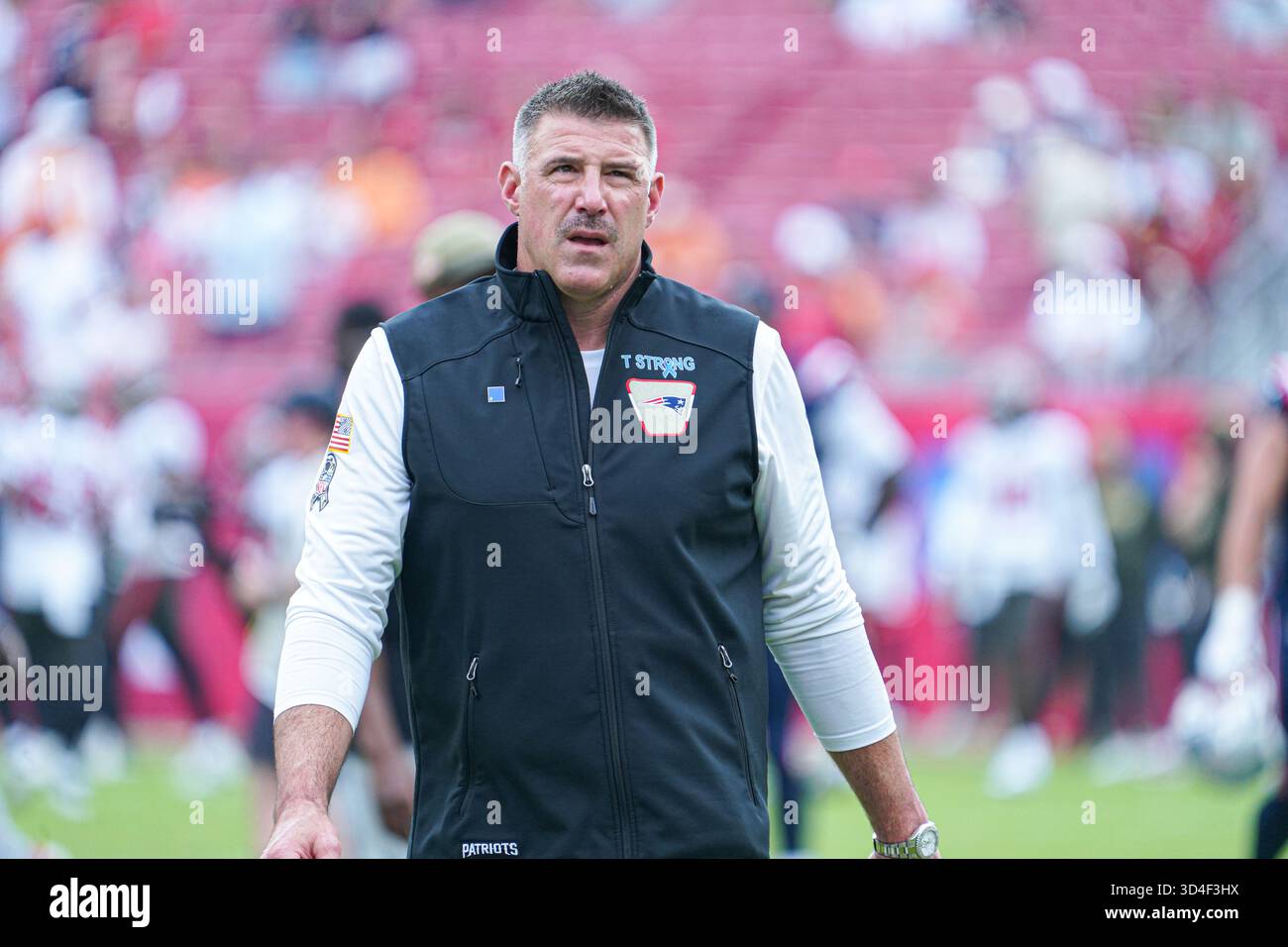 Tampa Bay, Florida, USA, November 9, 2025, New England Patriots head ...