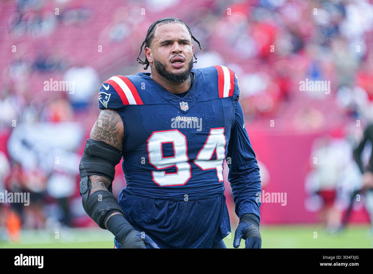 Jaquelin roy patriots hi-res stock photography and images - Alamy