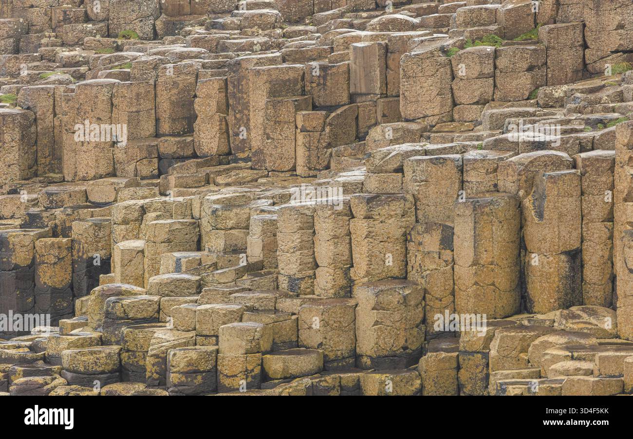 Close-Up Basalt Columns at Giant’s Causeway – Detailed Geological ...