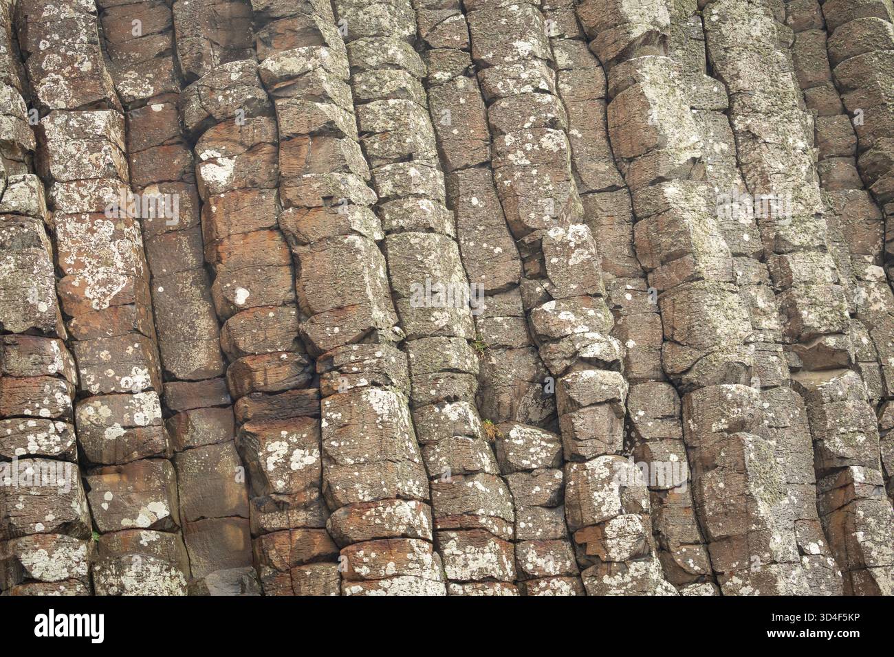 Close-Up Basalt Columns at Giant’s Causeway – Detailed Geological ...