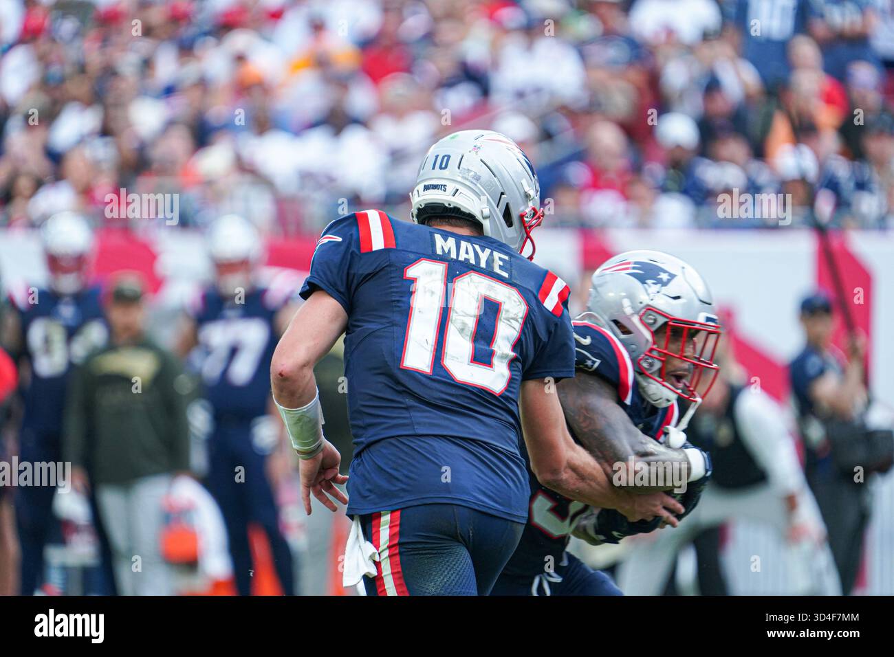 Tampa Bay, Florida, USA, November 9, 2025, New England Patriots ...