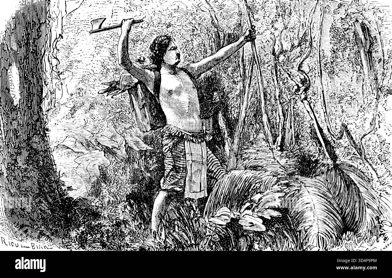 Rainforest exploration at Black and White Stock Photos & Images - Alamy