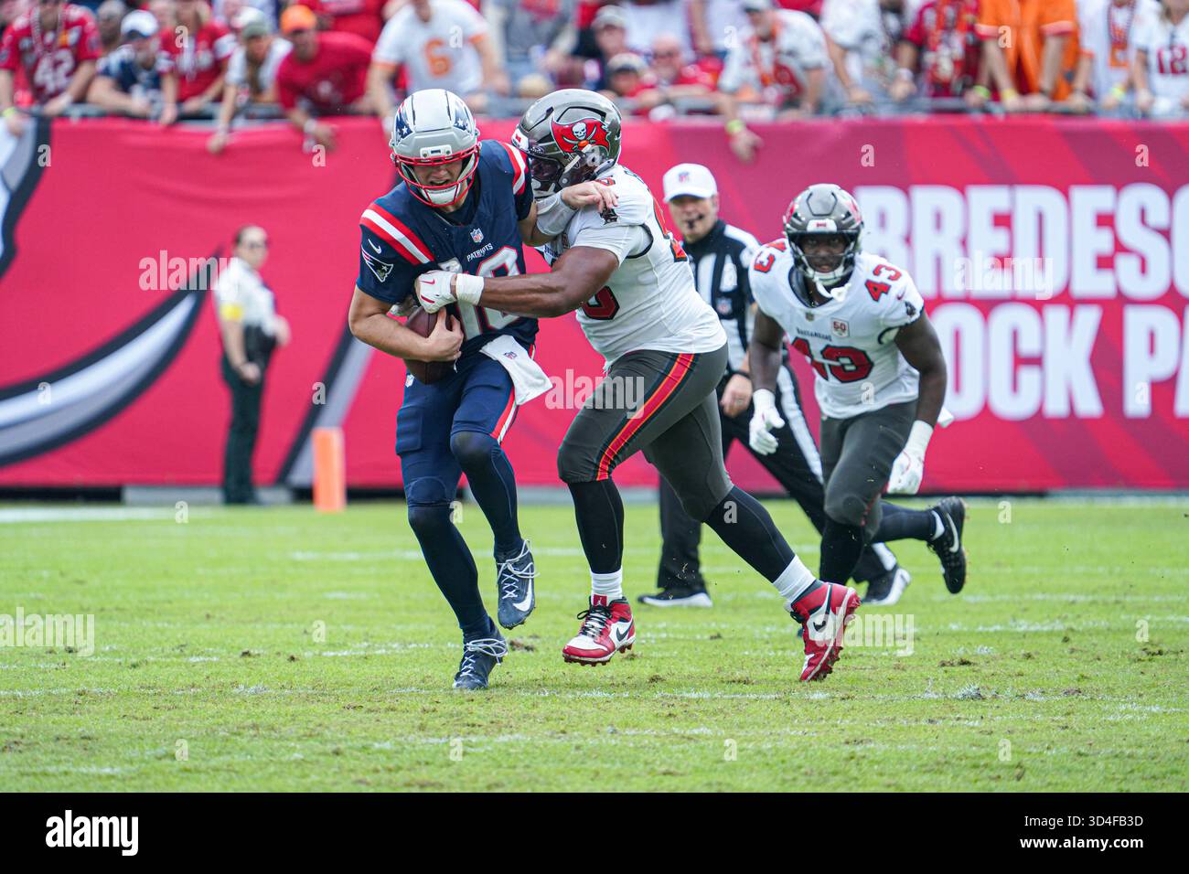 Tampa Bay, Florida, USA, November 9, 2025, New England Patriots ...