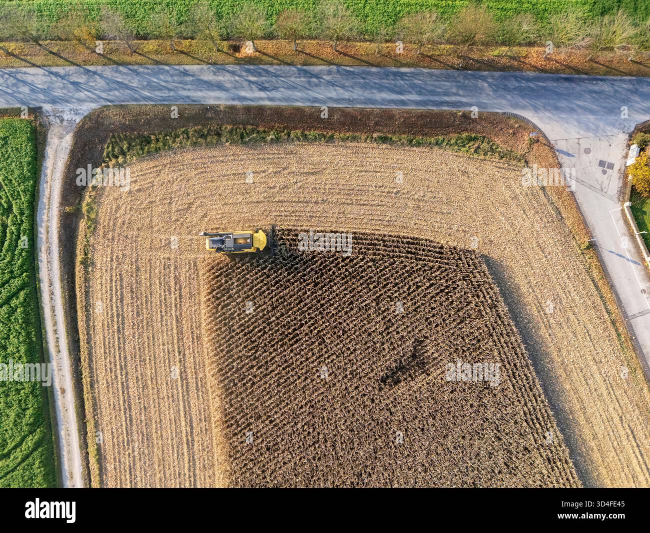 Late corn harvest in Austria’s countryside Stock Photo - Alamy