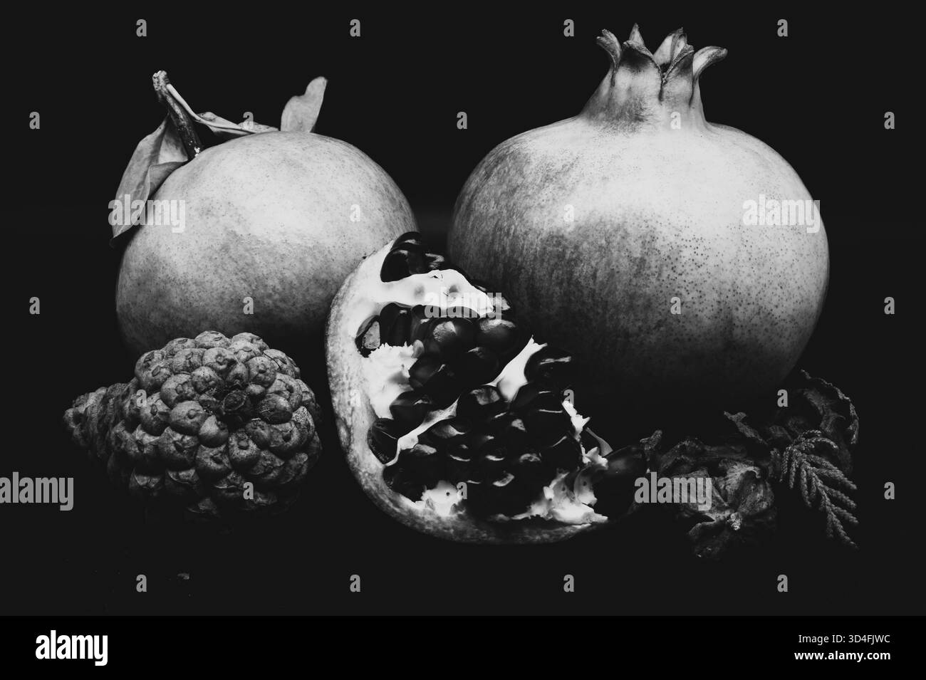 Juicy red seeds Black and White Stock Photos & Images - Alamy