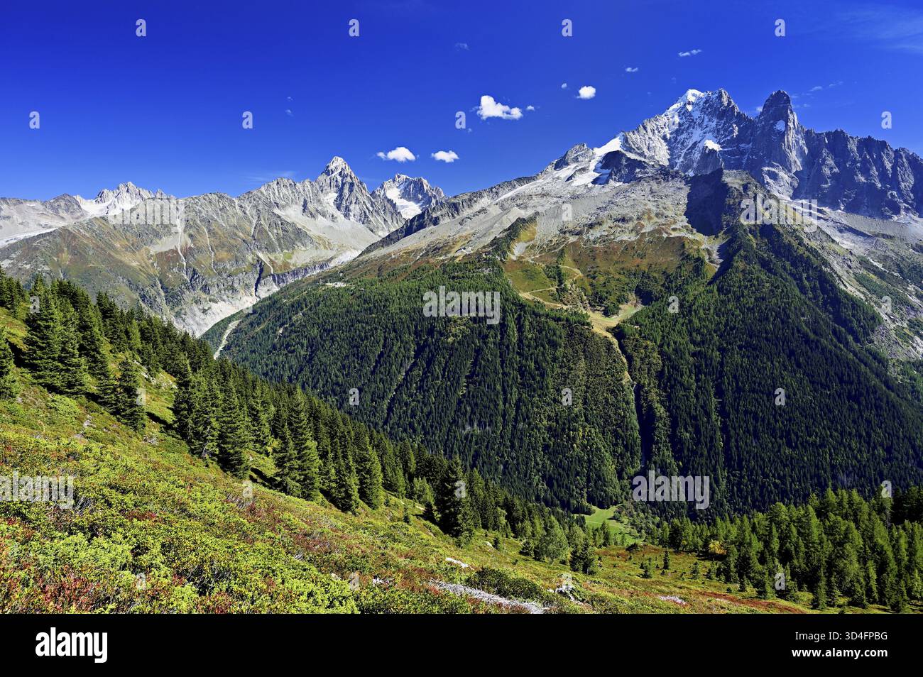 From left Aiguille du Chardonnet, in front foothills of the Argentiere ...