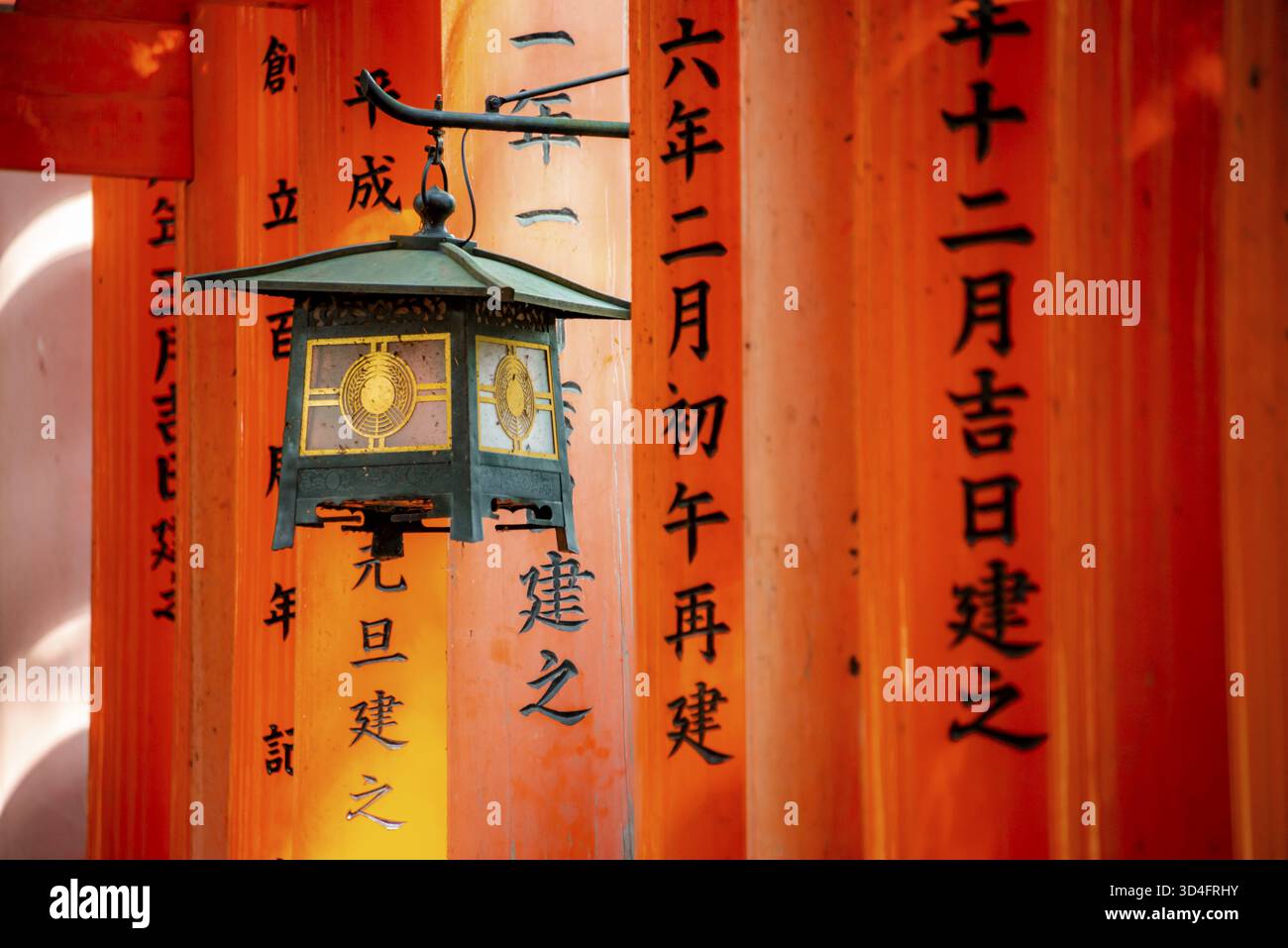 Lantern between red torii gates, hundreds of red traditional torii ...