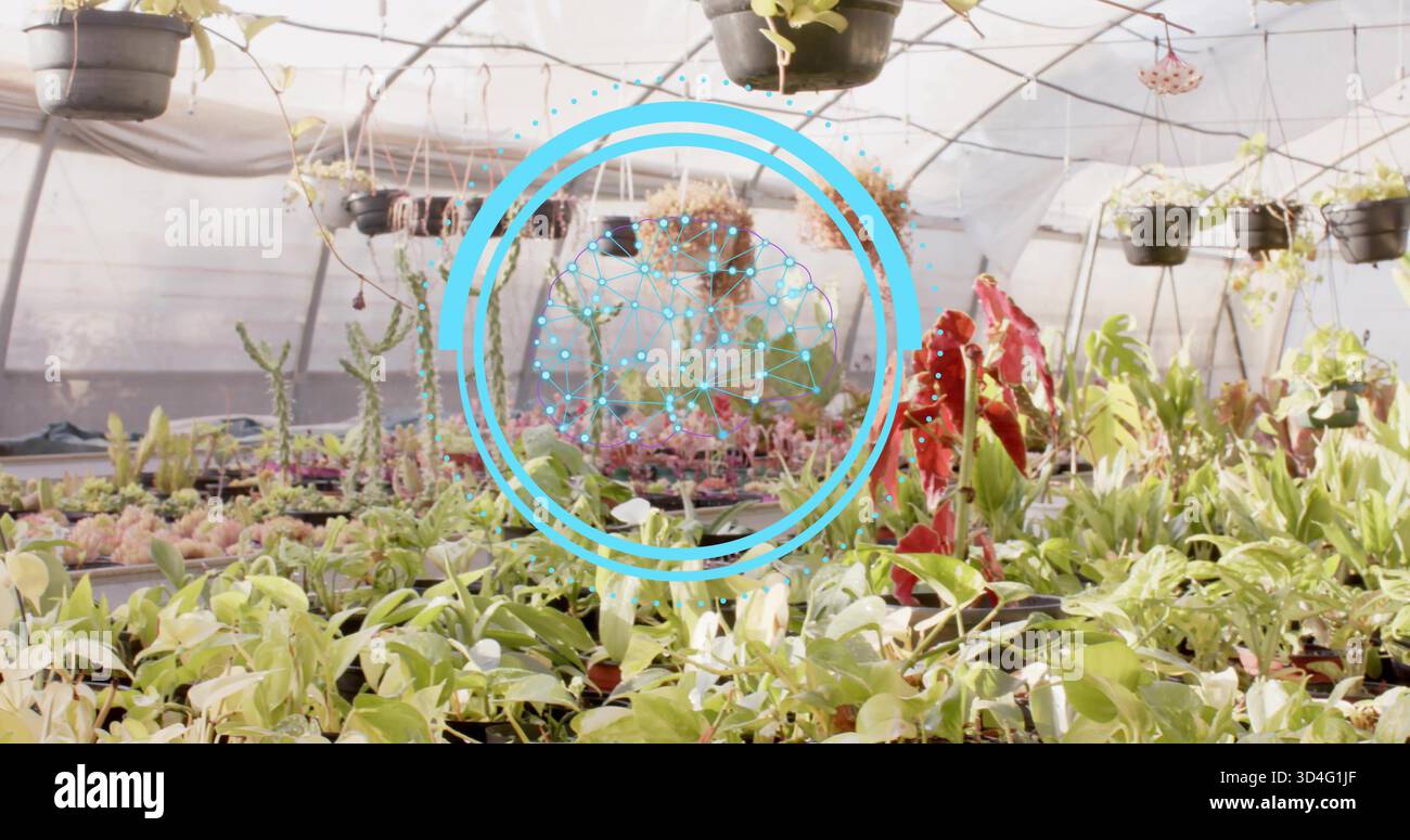 Displaying assorted potted plants and seedling trays inside greenhouse ...