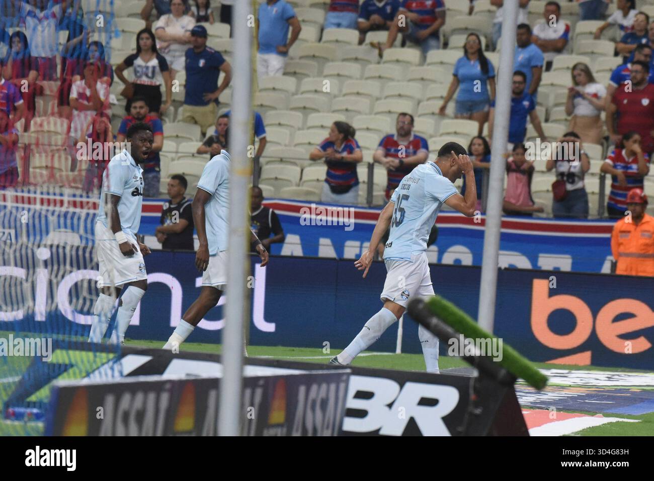 Arena Castelão Carlos Vinicius after scoring a goal during the ...