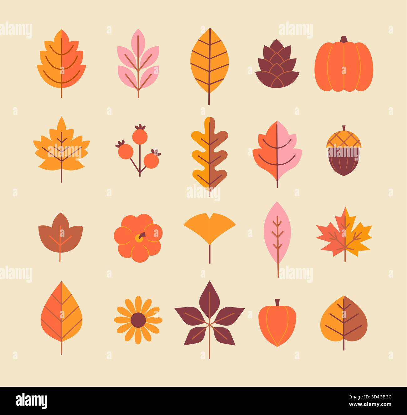 Set berry leaves flower hi-res stock photography and images - Alamy