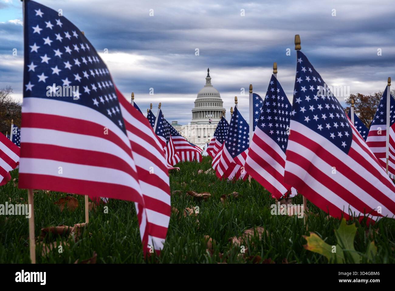 Miniature American flags flutter in wind gusts across the National Mall ...