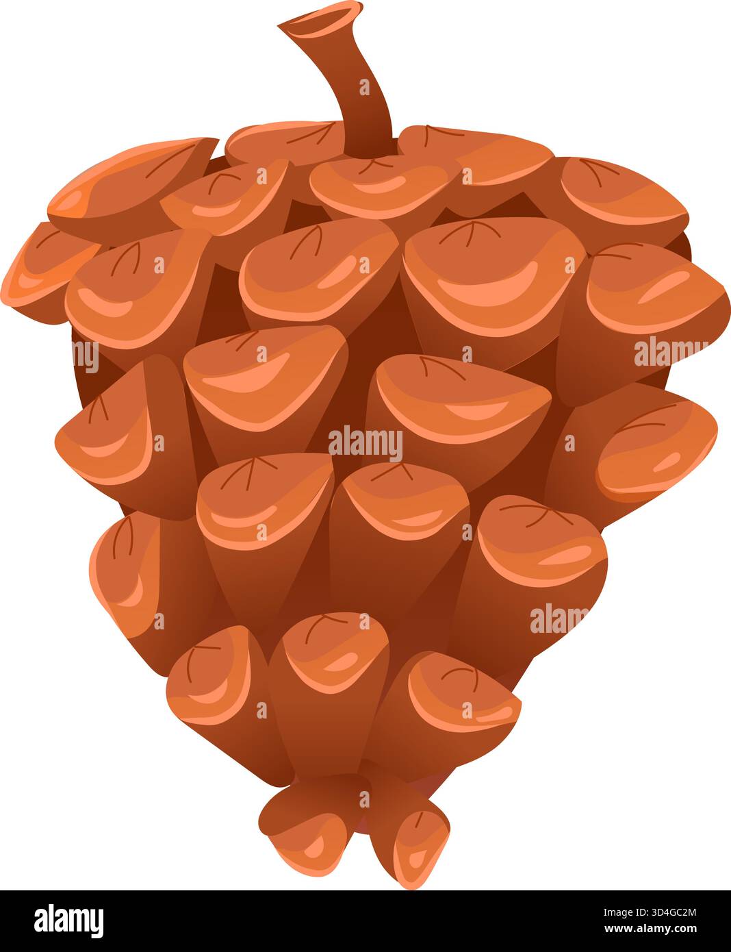 Pinecone illustration hi-res stock photography and images - Alamy