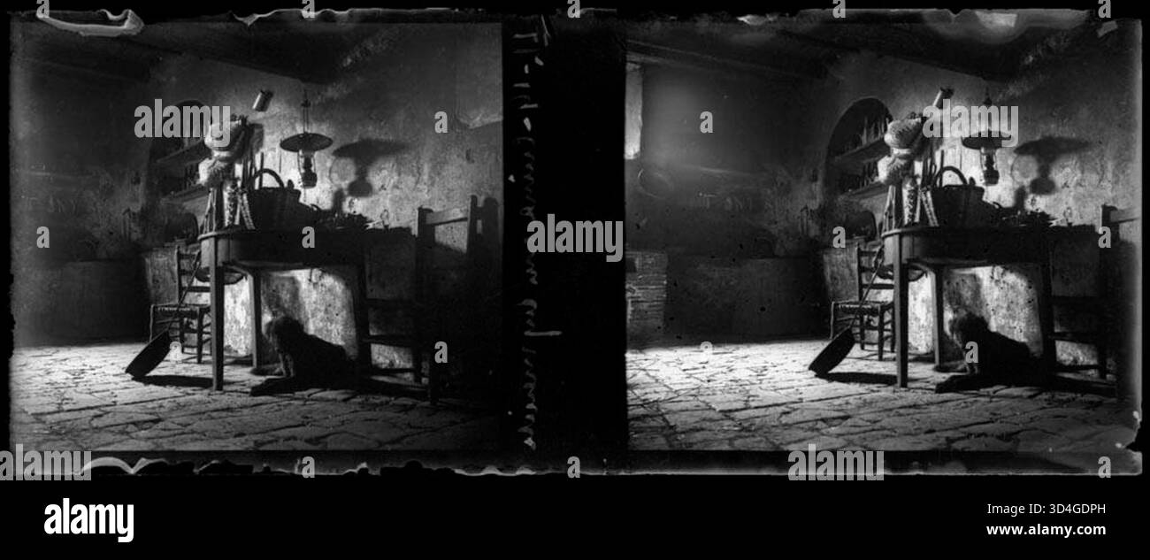 A dog lying on the floor of the kitchen in Can Aymeric, captured by ...