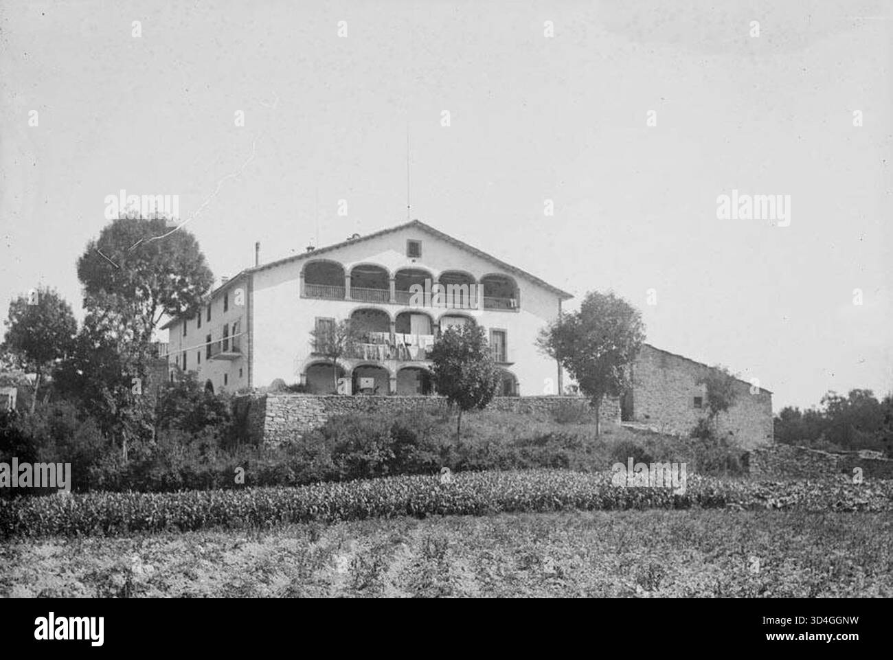 Surrounded lush Black and White Stock Photos & Images - Alamy