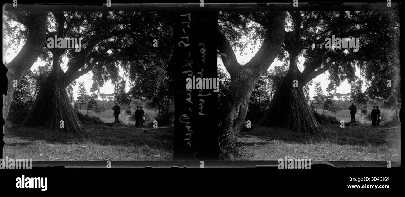 The photograph features three men in the Can Margens forest, a rural ...