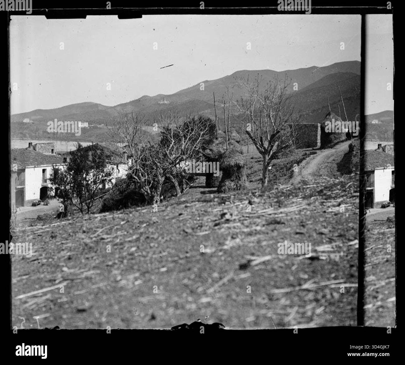 Field trees rural houses Black and White Stock Photos & Images - Alamy