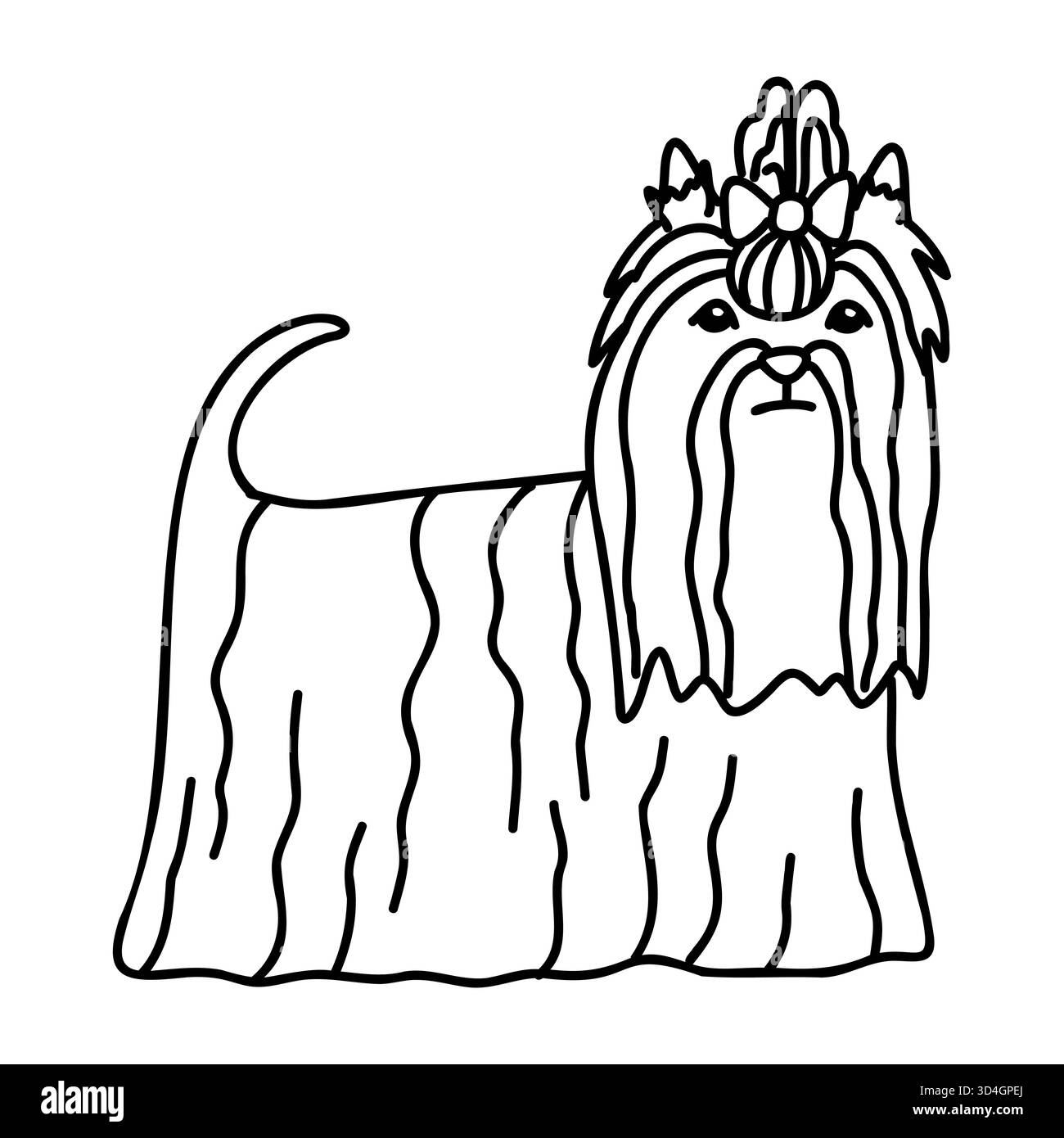 Veterinary yorkshire terrier dog Stock Vector Images - Alamy