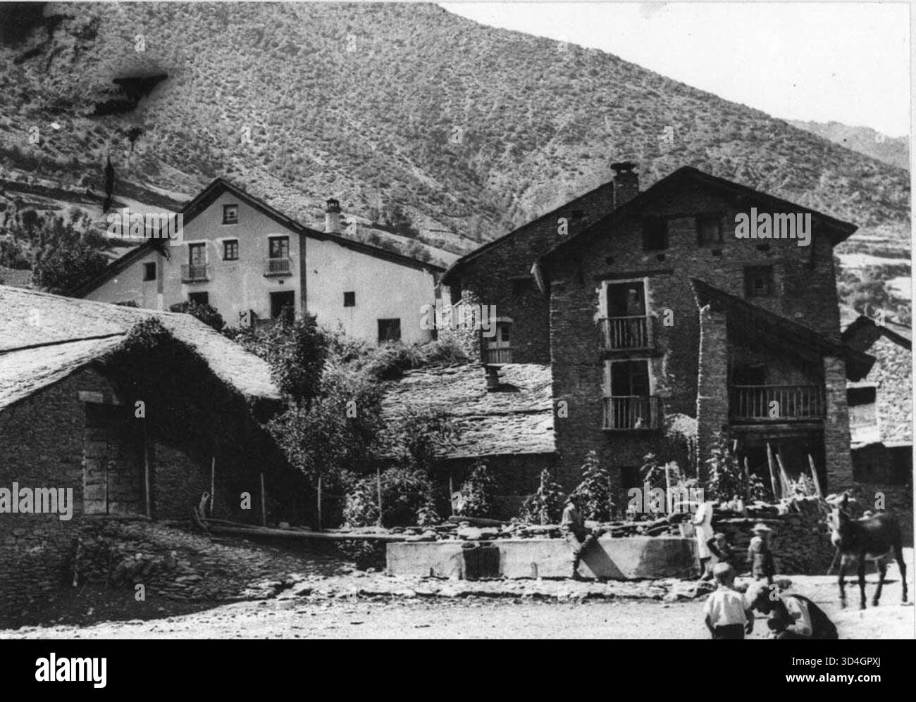 The main square of Surri with livestock and people, photographed by ...