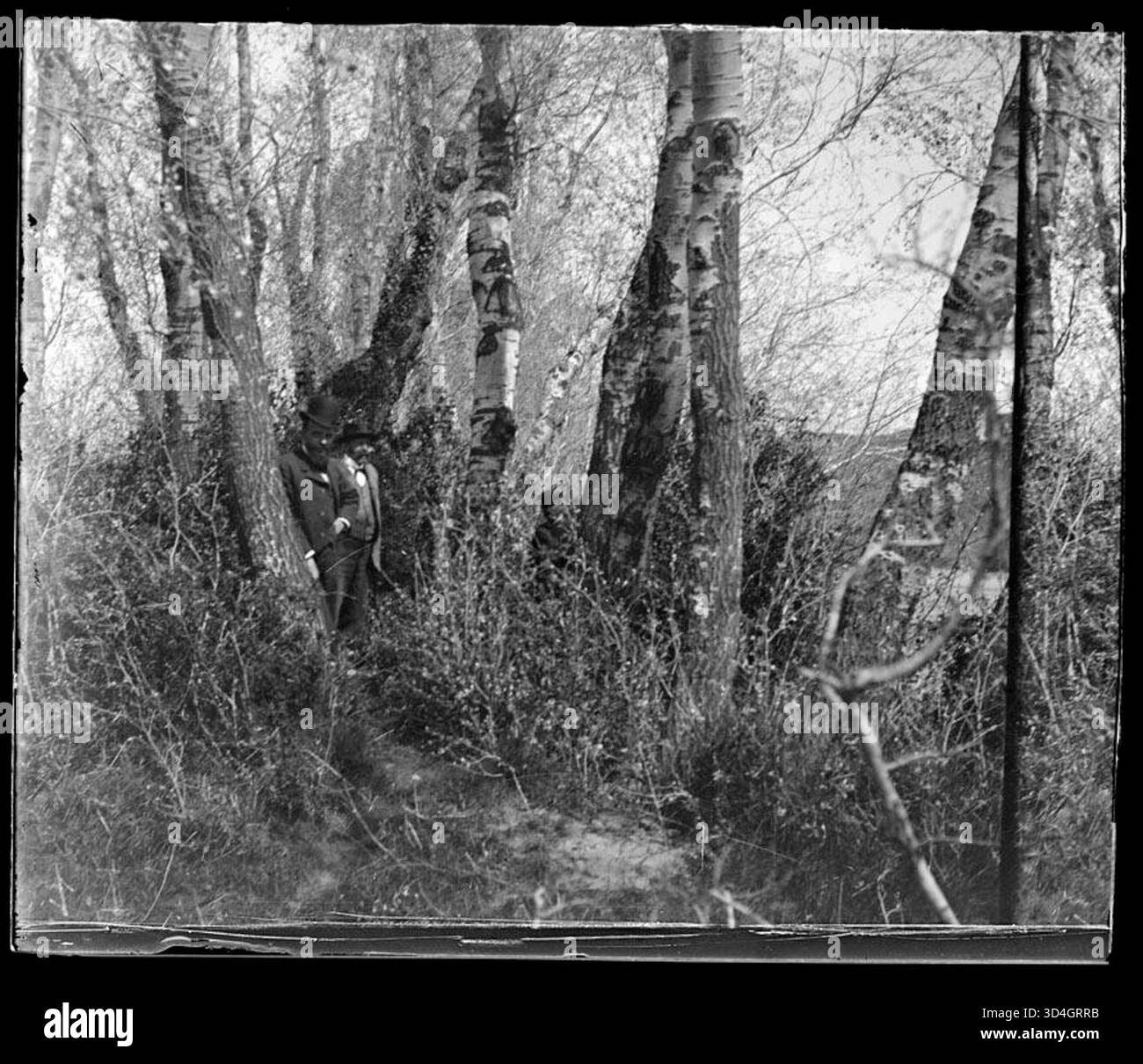 A group of men in the midst of a dense forest, photographed by Antoni ...