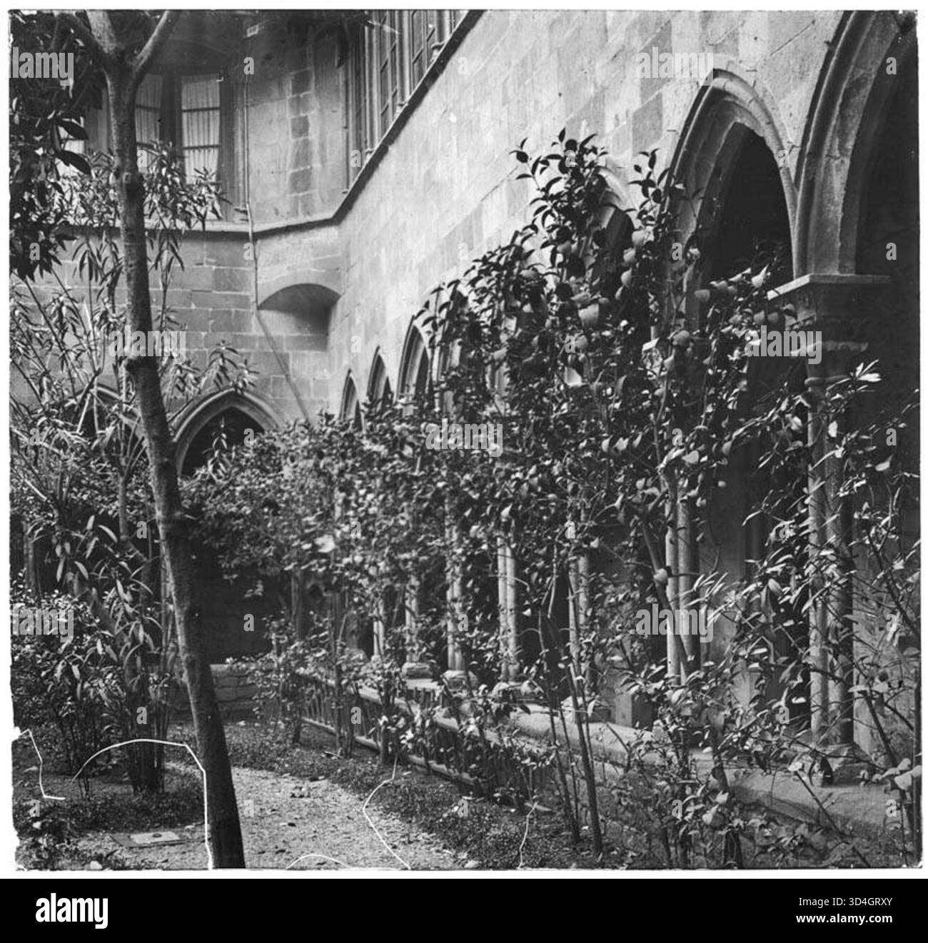 Conception photo Cut Out Stock Images & Pictures - Alamy