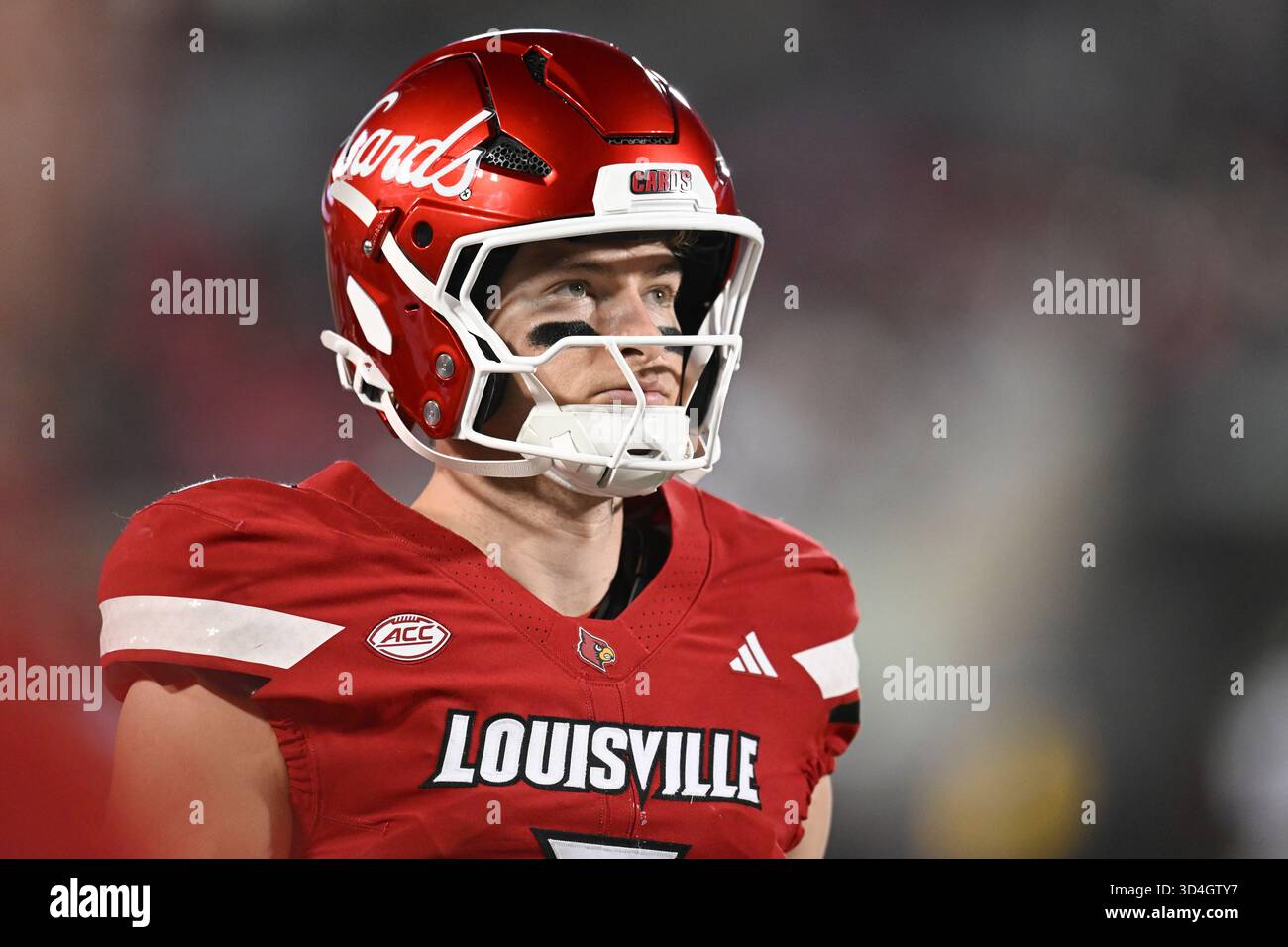 LOUISVILLE, KY - NOVEMBER 08: Louisville Cardinals Quarterback Miller ...