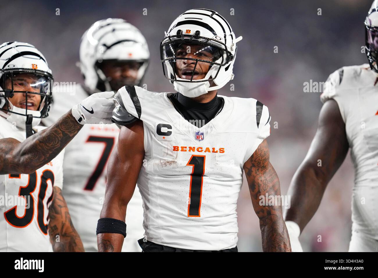 Cincinnati Bengals wide receiver Ja'Marr Chase (1) reacts after scoring ...