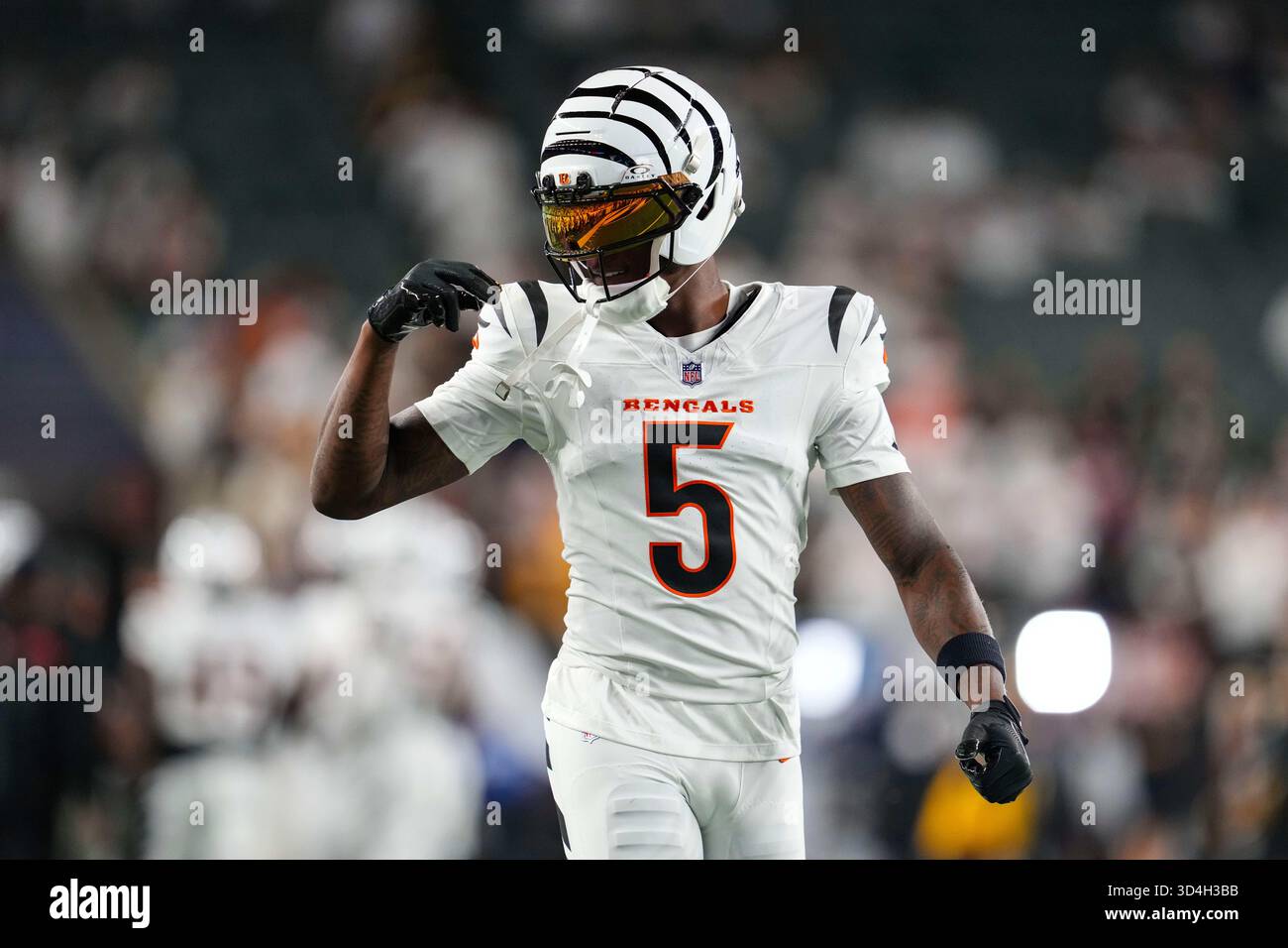 Cincinnati Bengals wide receiver Tee Higgins (5) looks on prior to an ...