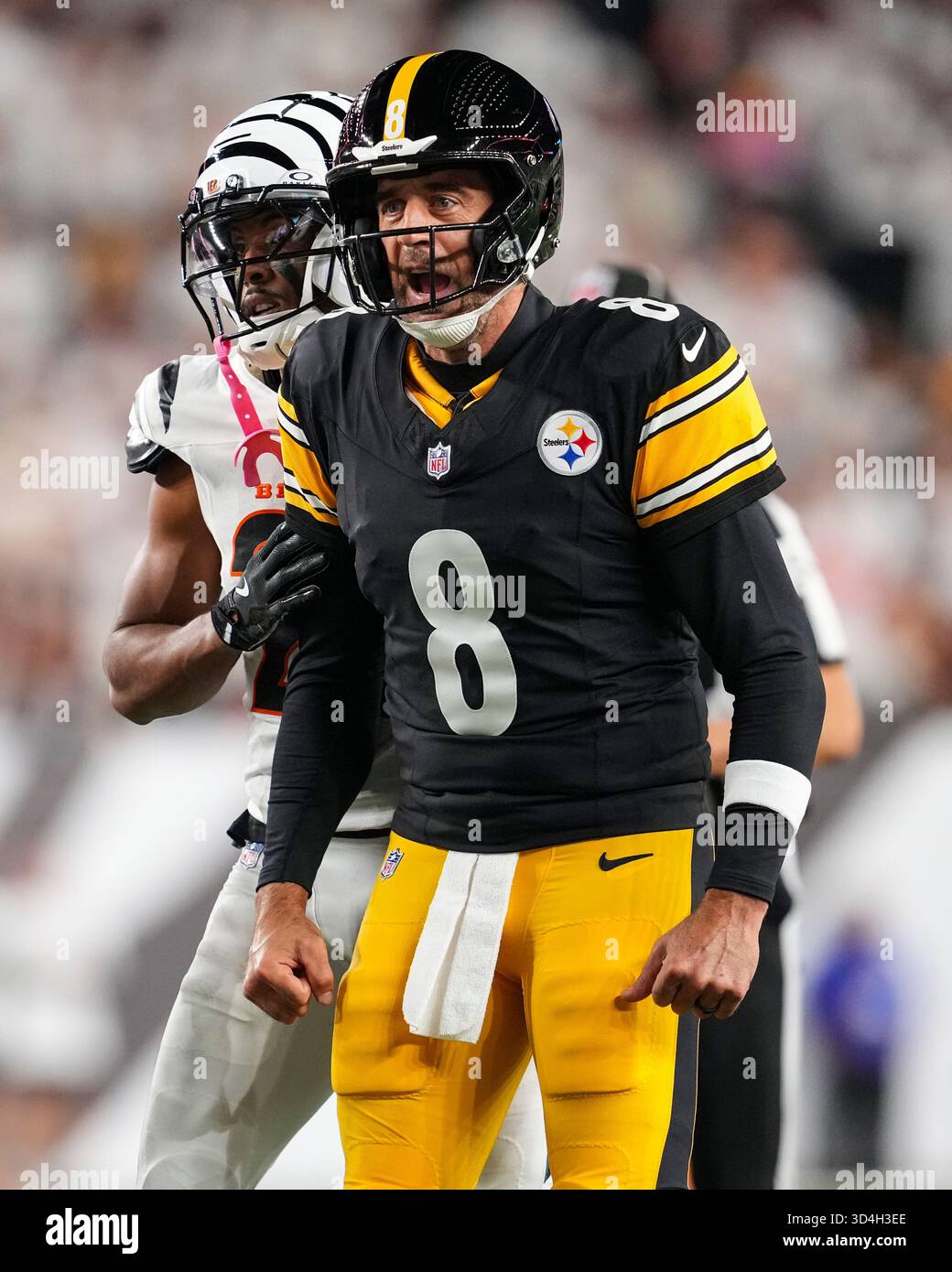 Pittsburgh Steelers quarterback Aaron Rodgers (8) celebrates with ...